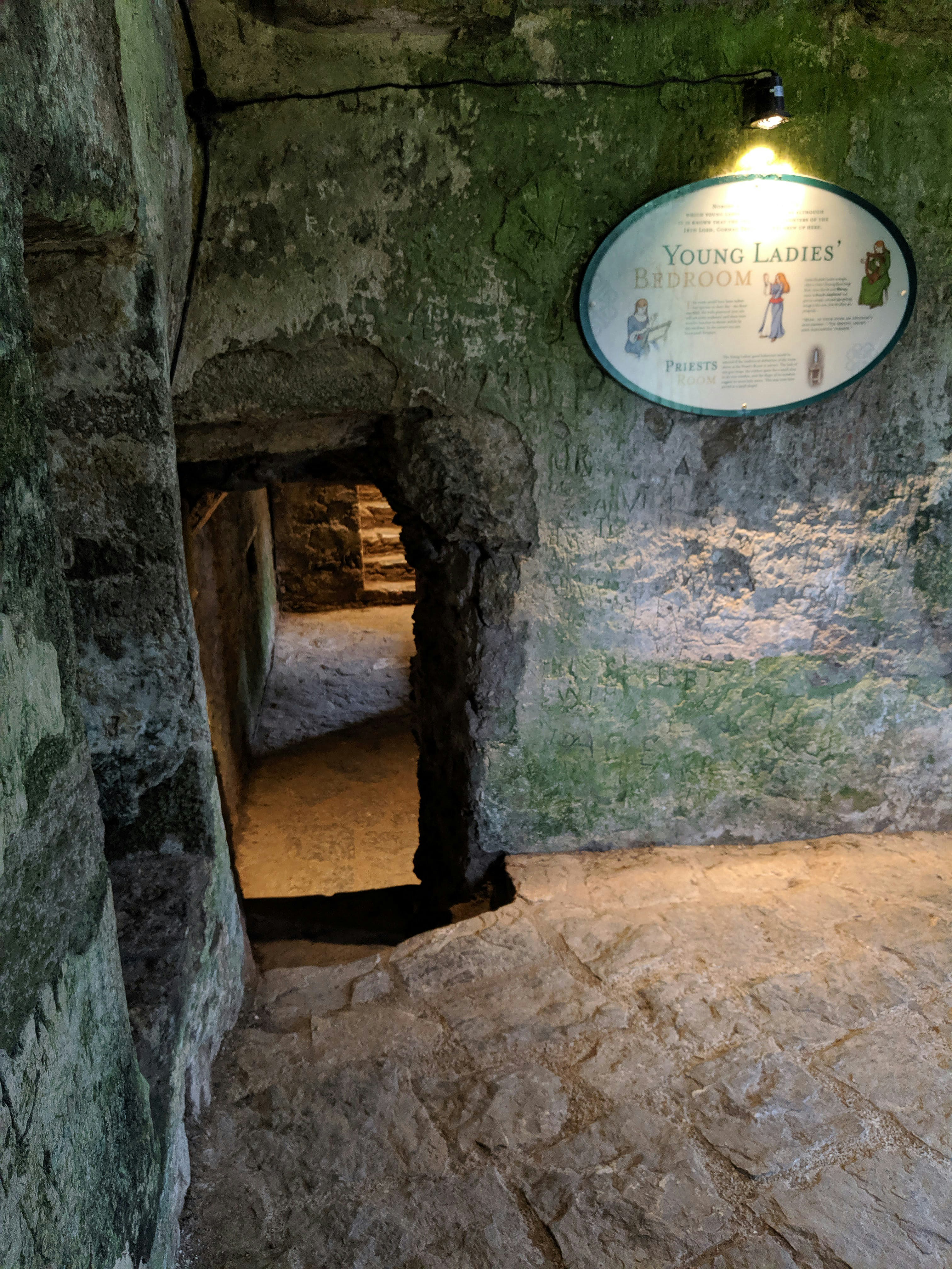 Echoes of a Stone Passage: Lightbed Beneath Mossy Walls