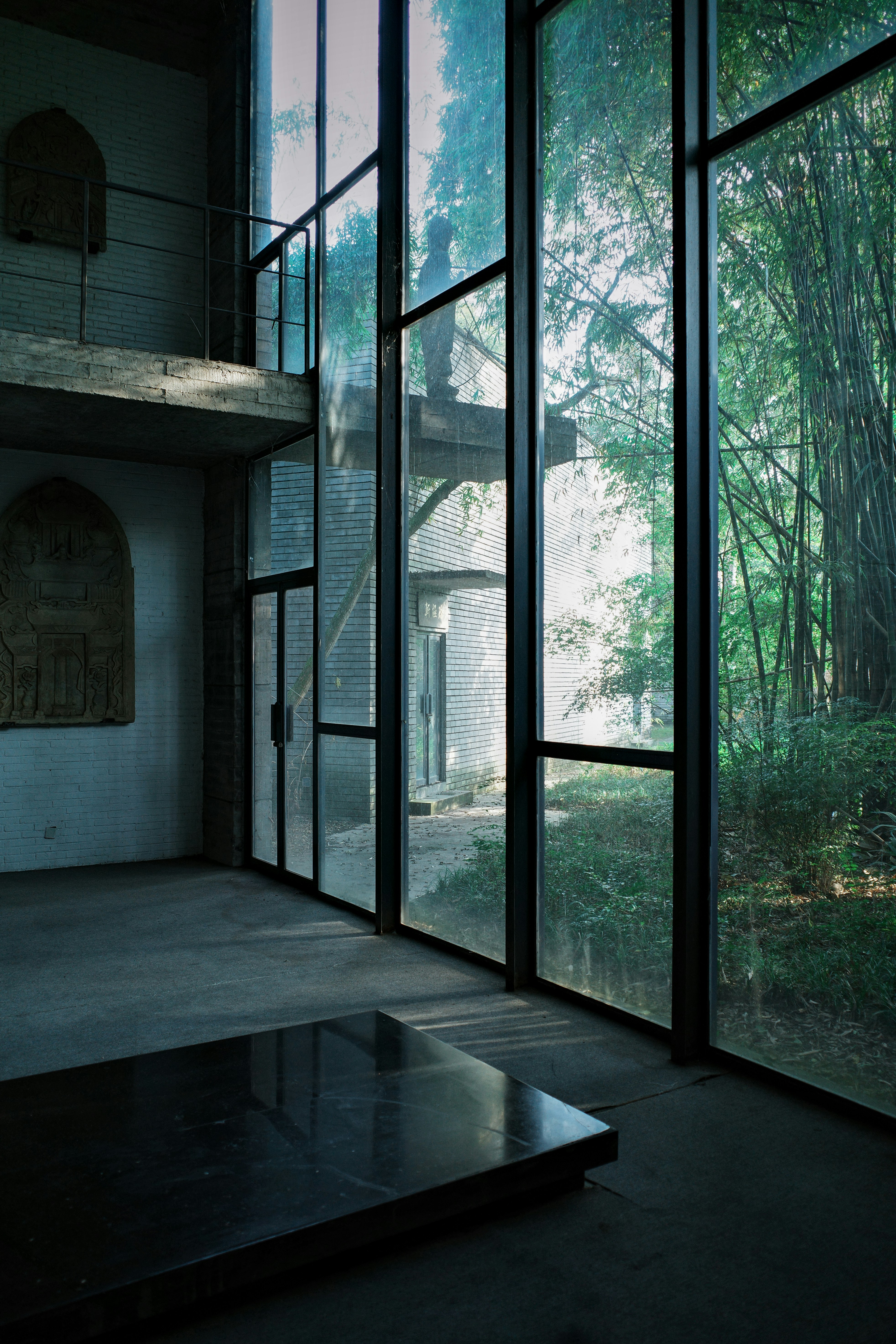 Glass Wallery: Quiet Indoor Garden Reflected in Tall Windows
