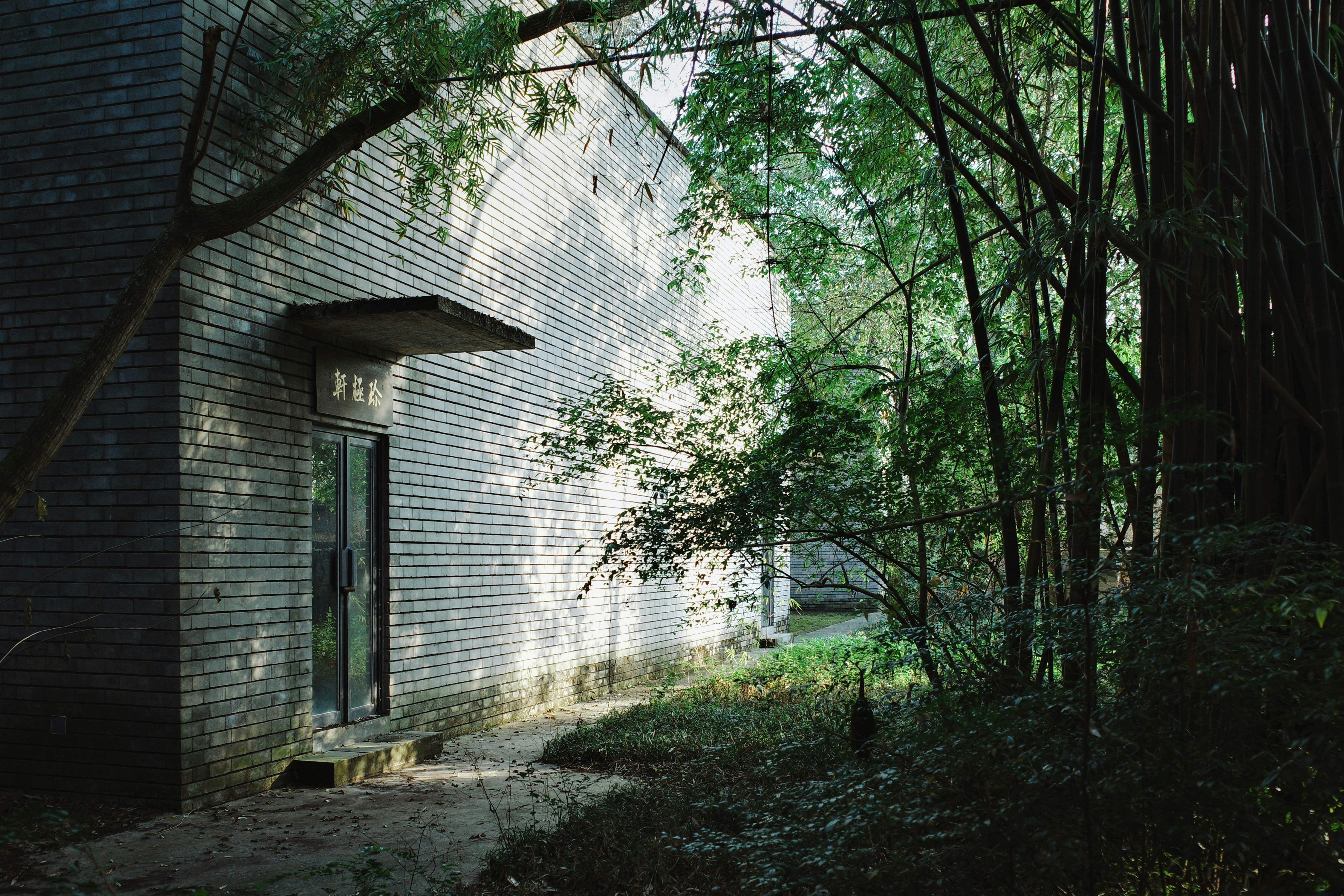 Quiet Corridor: Sunlit Brick Wall and Shadowed Path