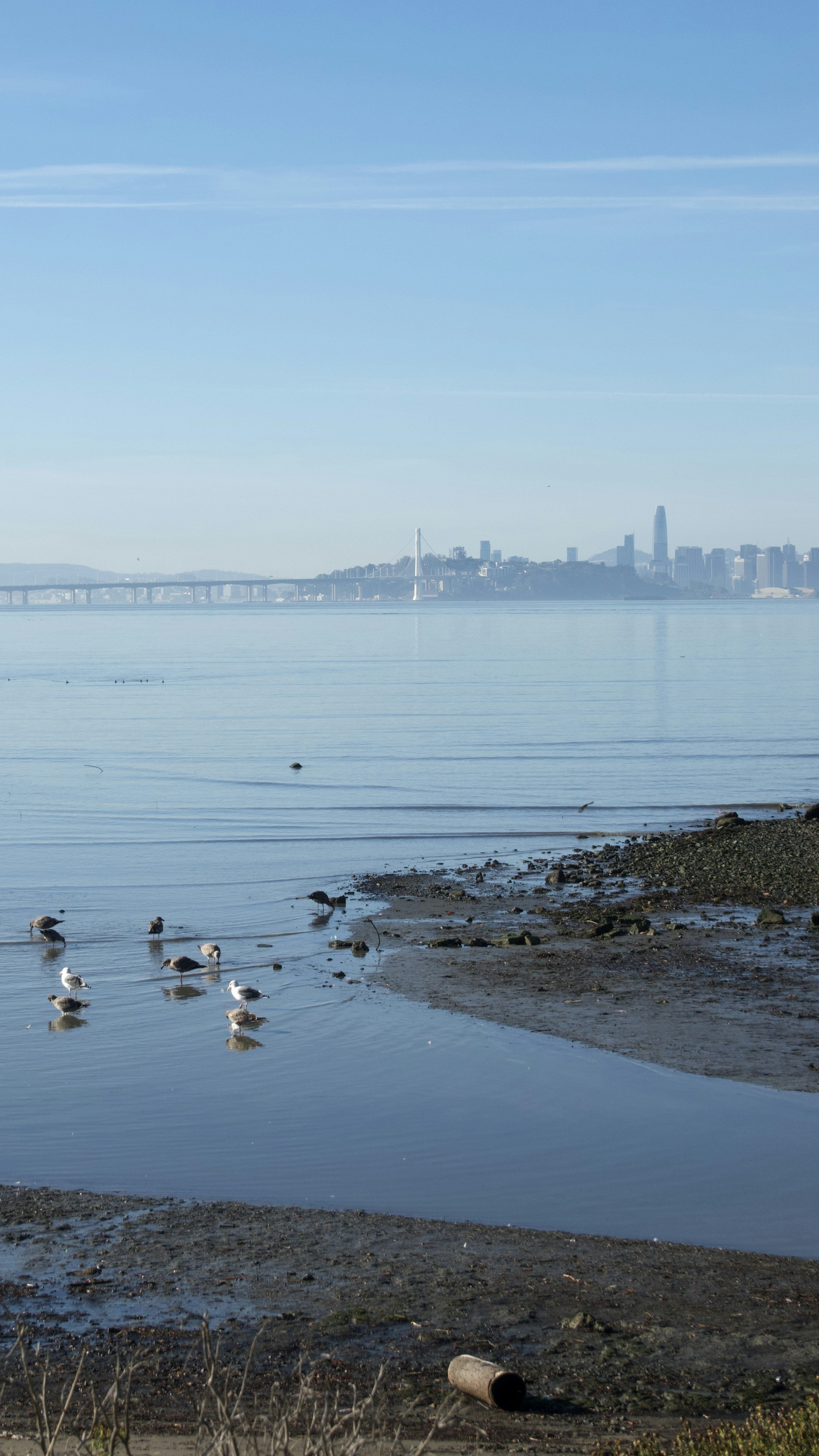 Shoreline Silhouette: Calm Bay with Distant Skyline