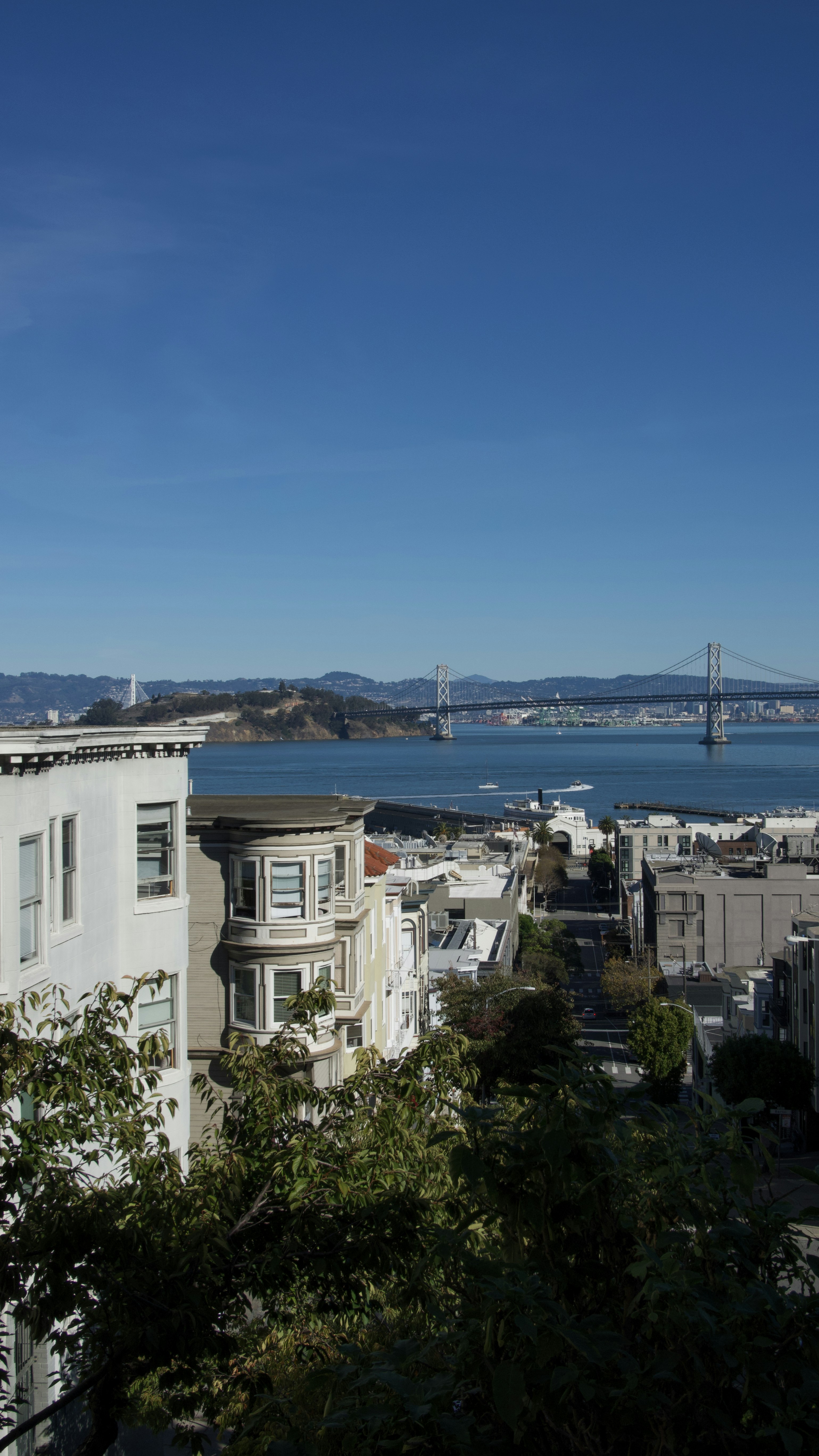 Clifftop Bay City: Terraced Homes Gazing Toward the Bridge