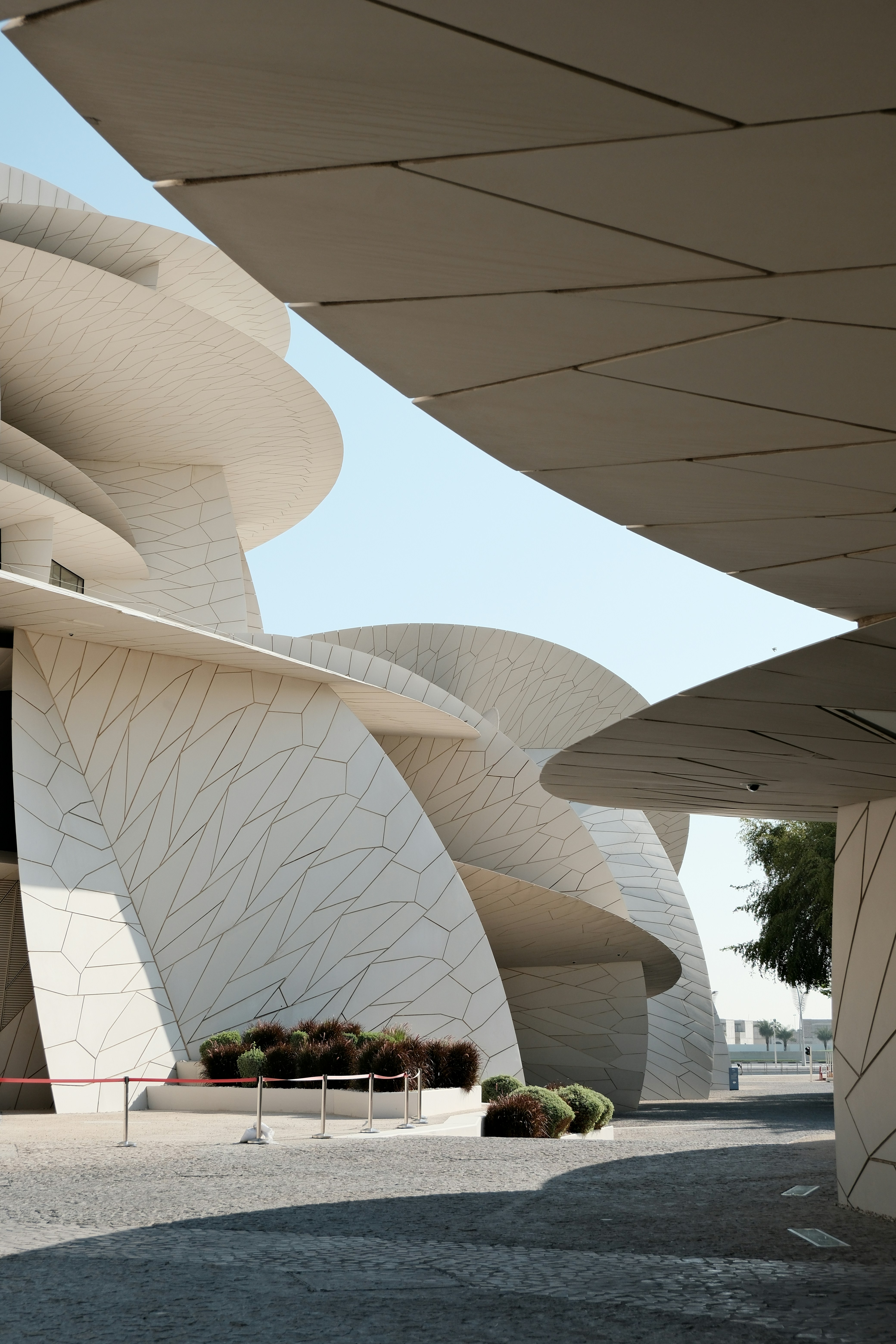 Desert Architecture: Curved White Facades Framing a Quiet Walkway