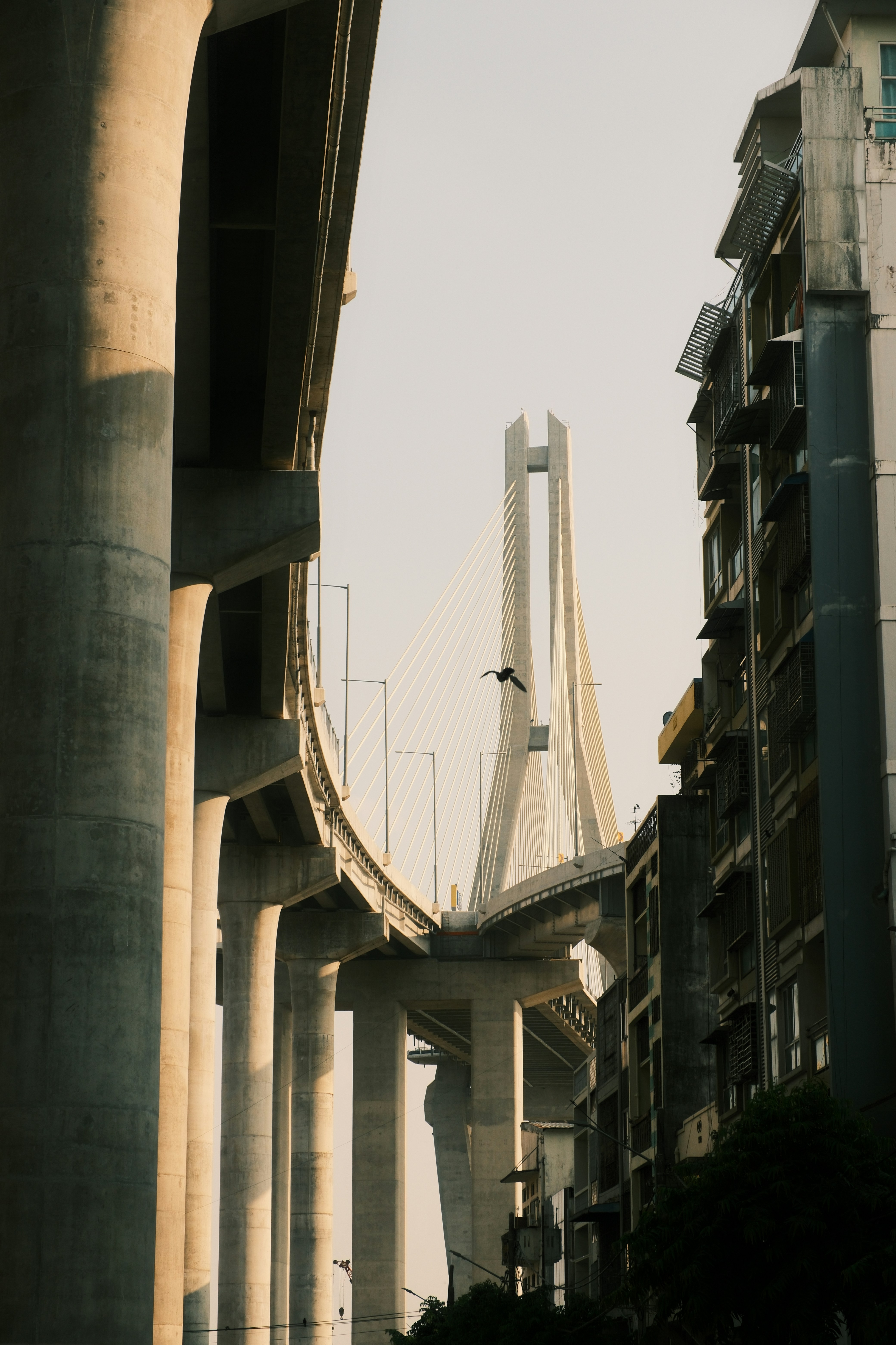 Concrete Arches and Cable-stayed Skyline
