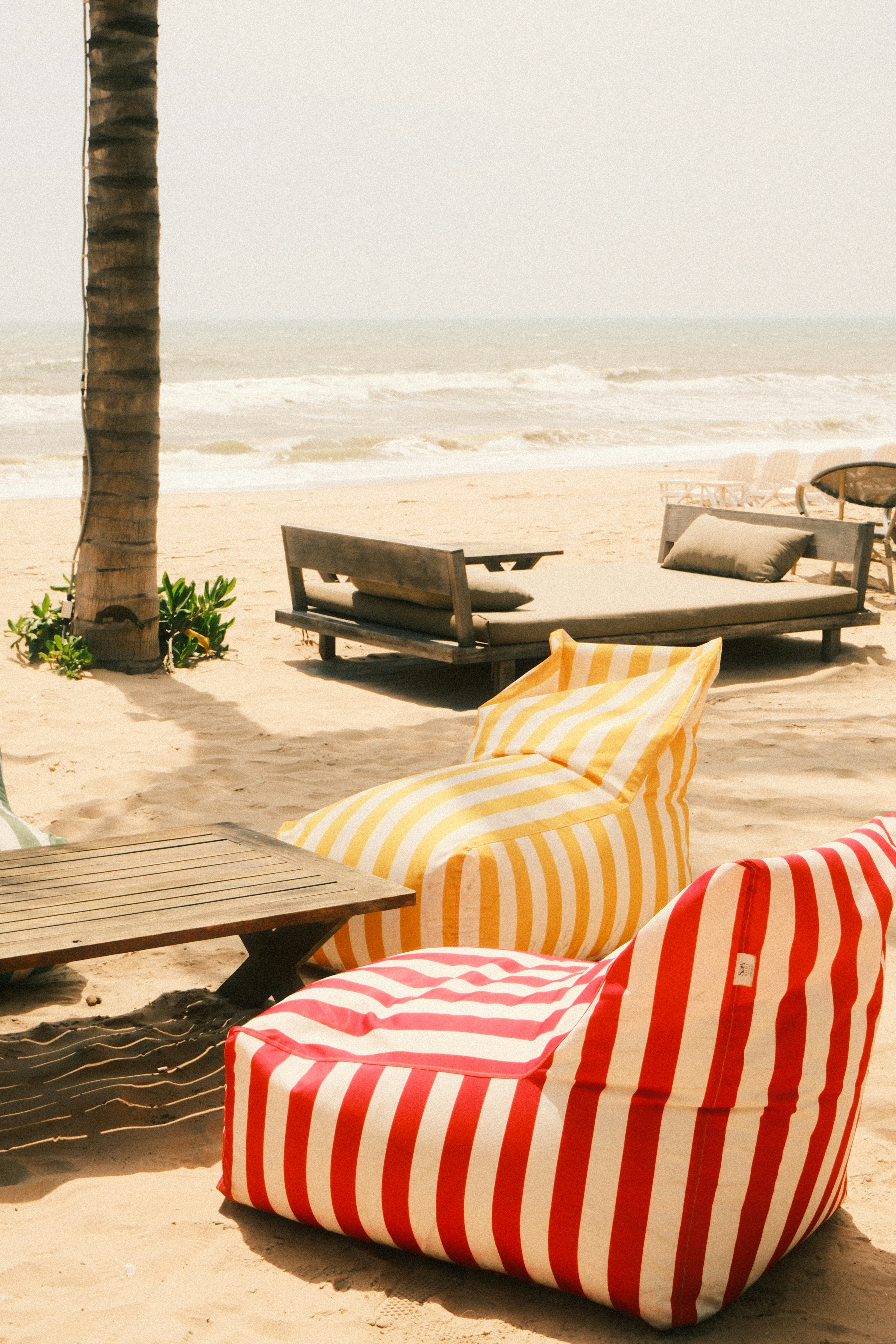 Striped Daydreams on the Sunlit Shore