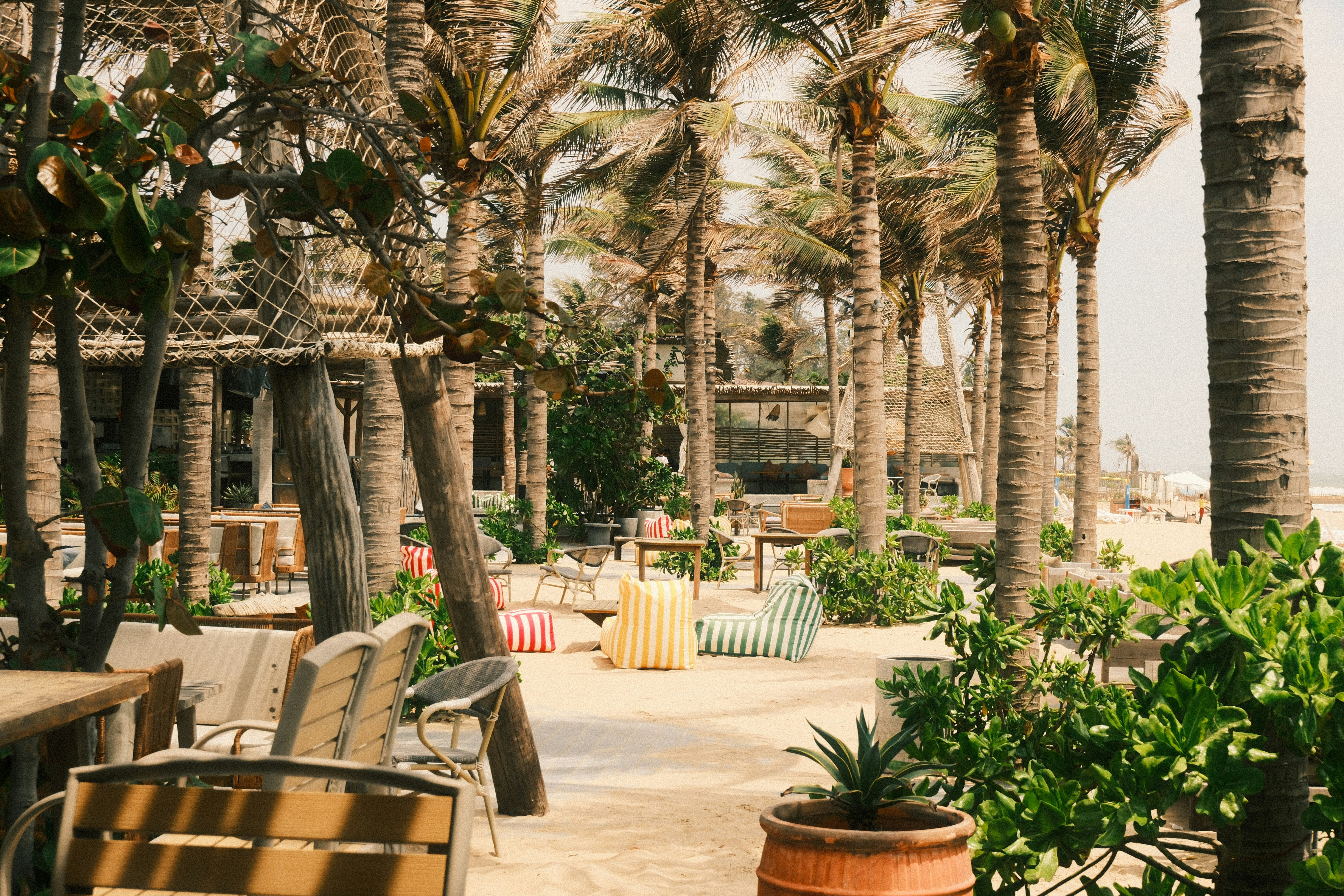 Palm-fringed Beach Terrace in a Sunny Resort Courtyard