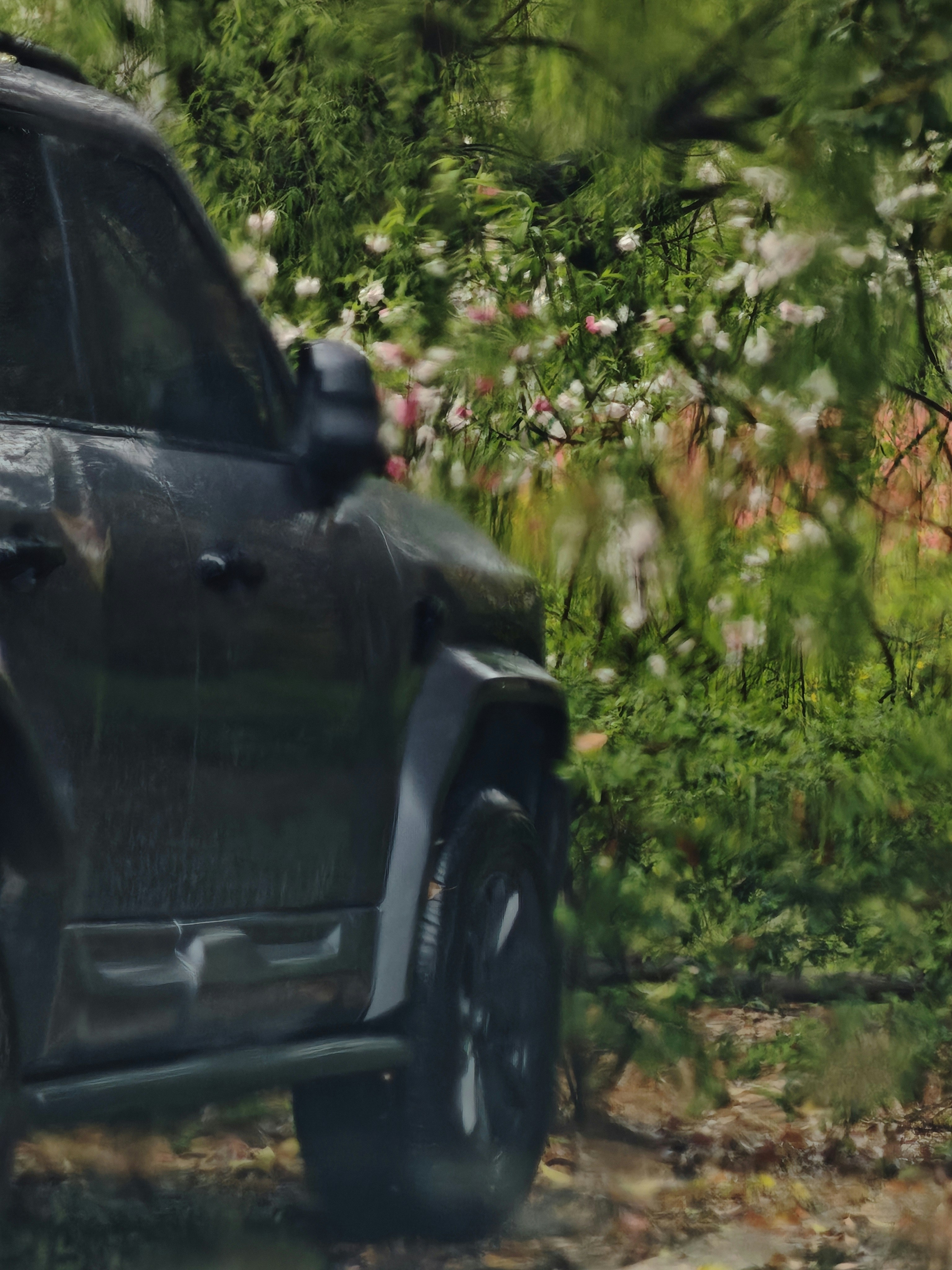 Rugged Ride in a Blooming Veranda