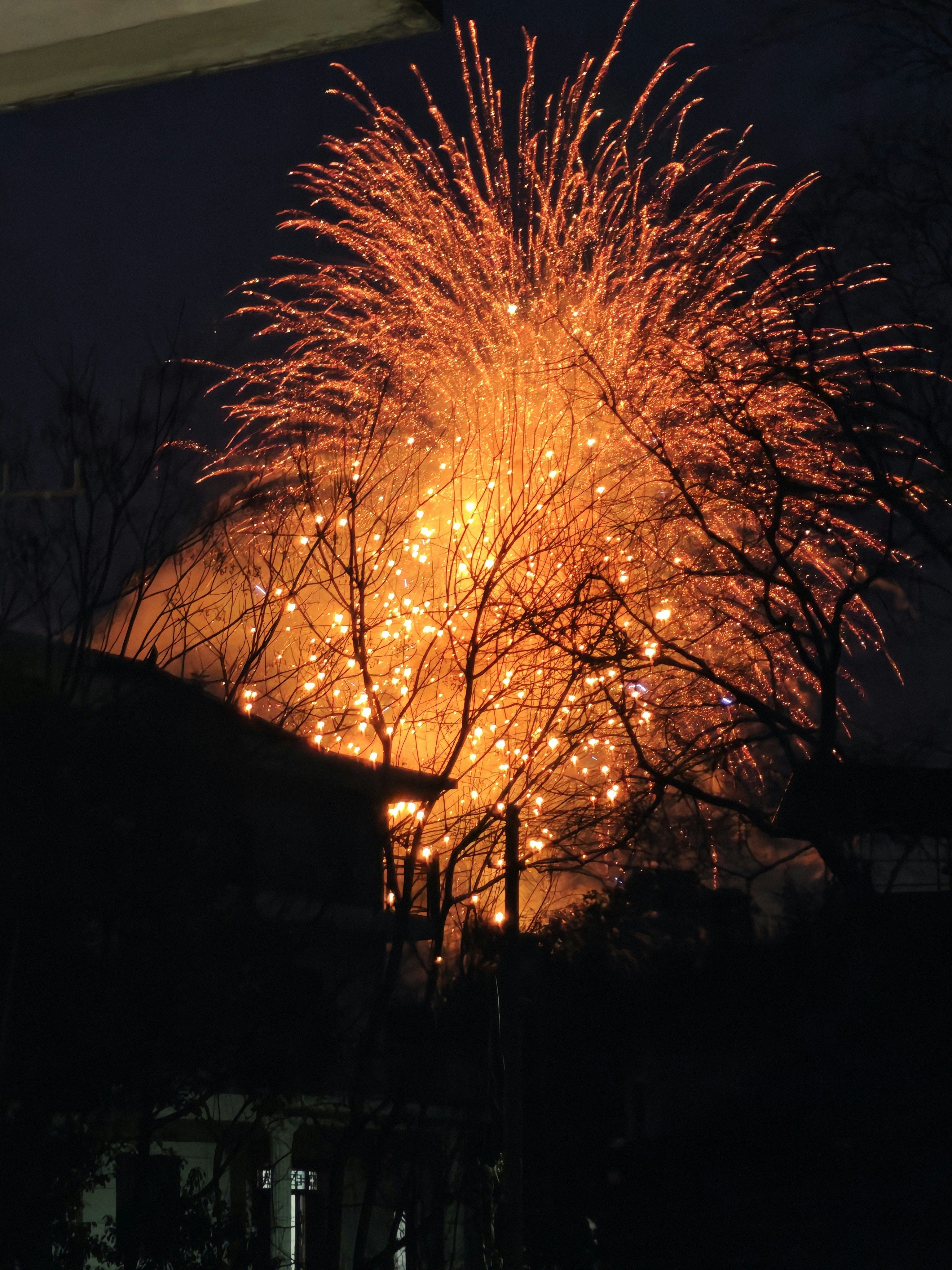 Emergent Fireworks Over Night silhouettes