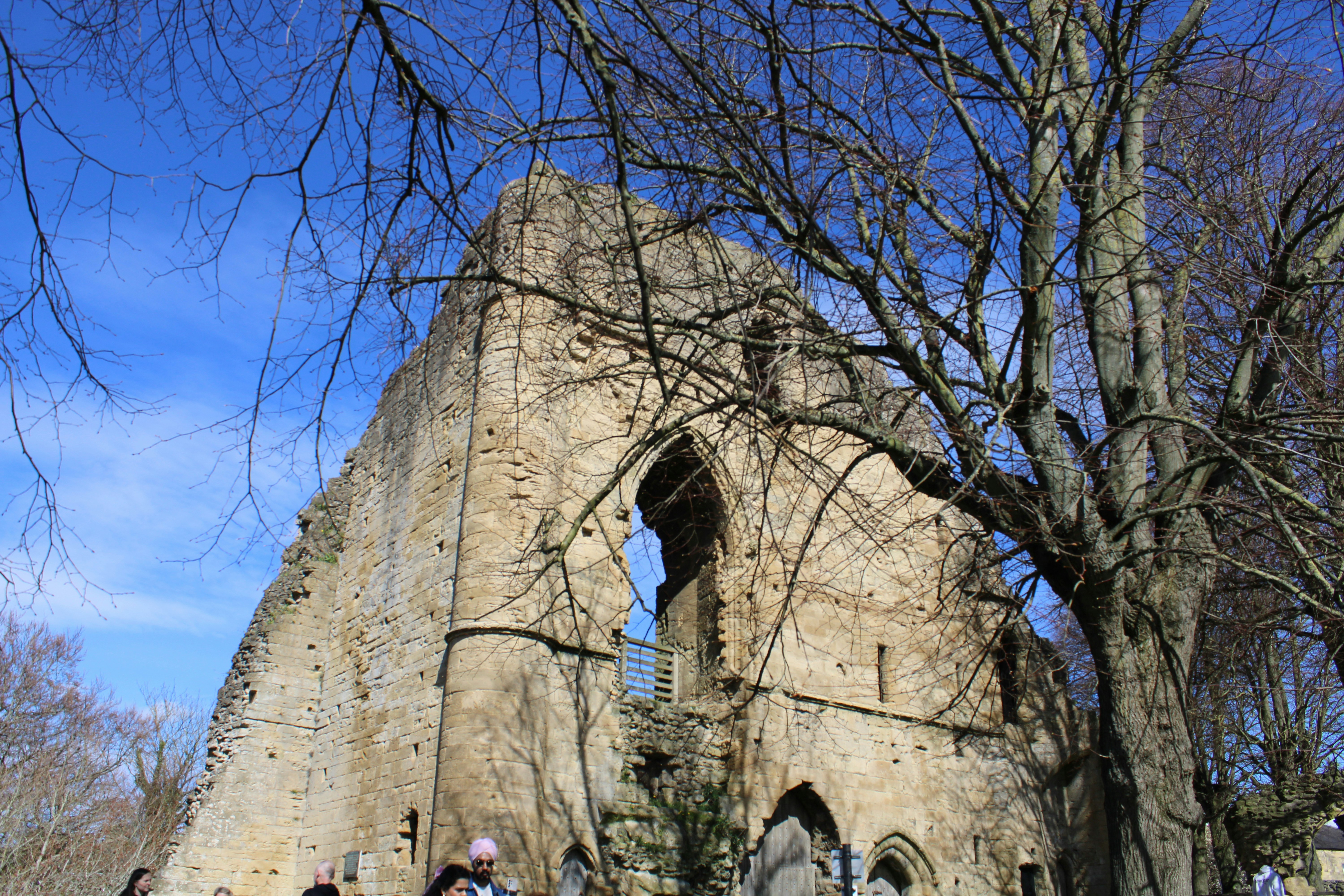 Stone Ruin Under Leafless Sky