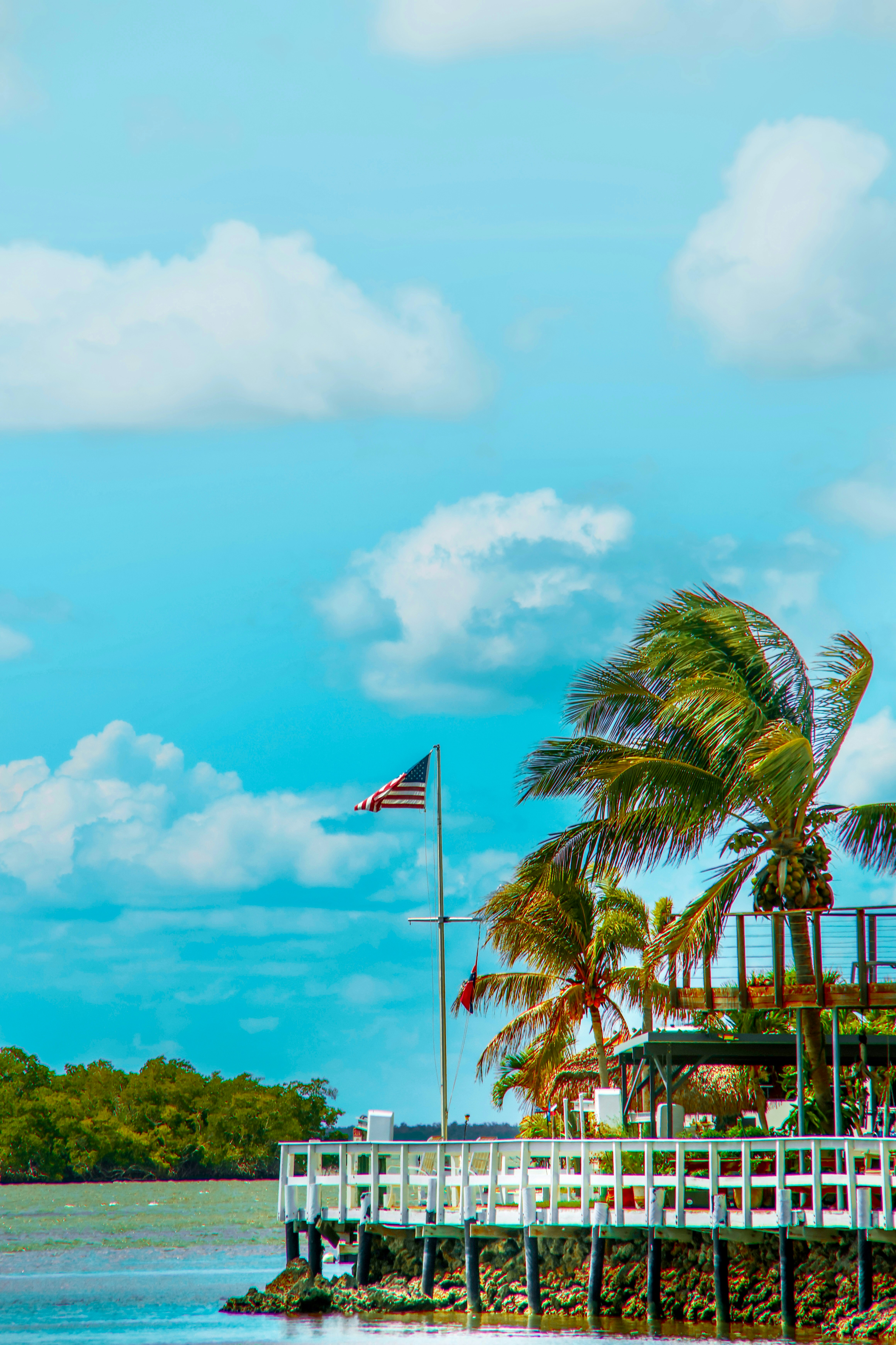Palm-fringed pier with waving American flag under a bright blue sky