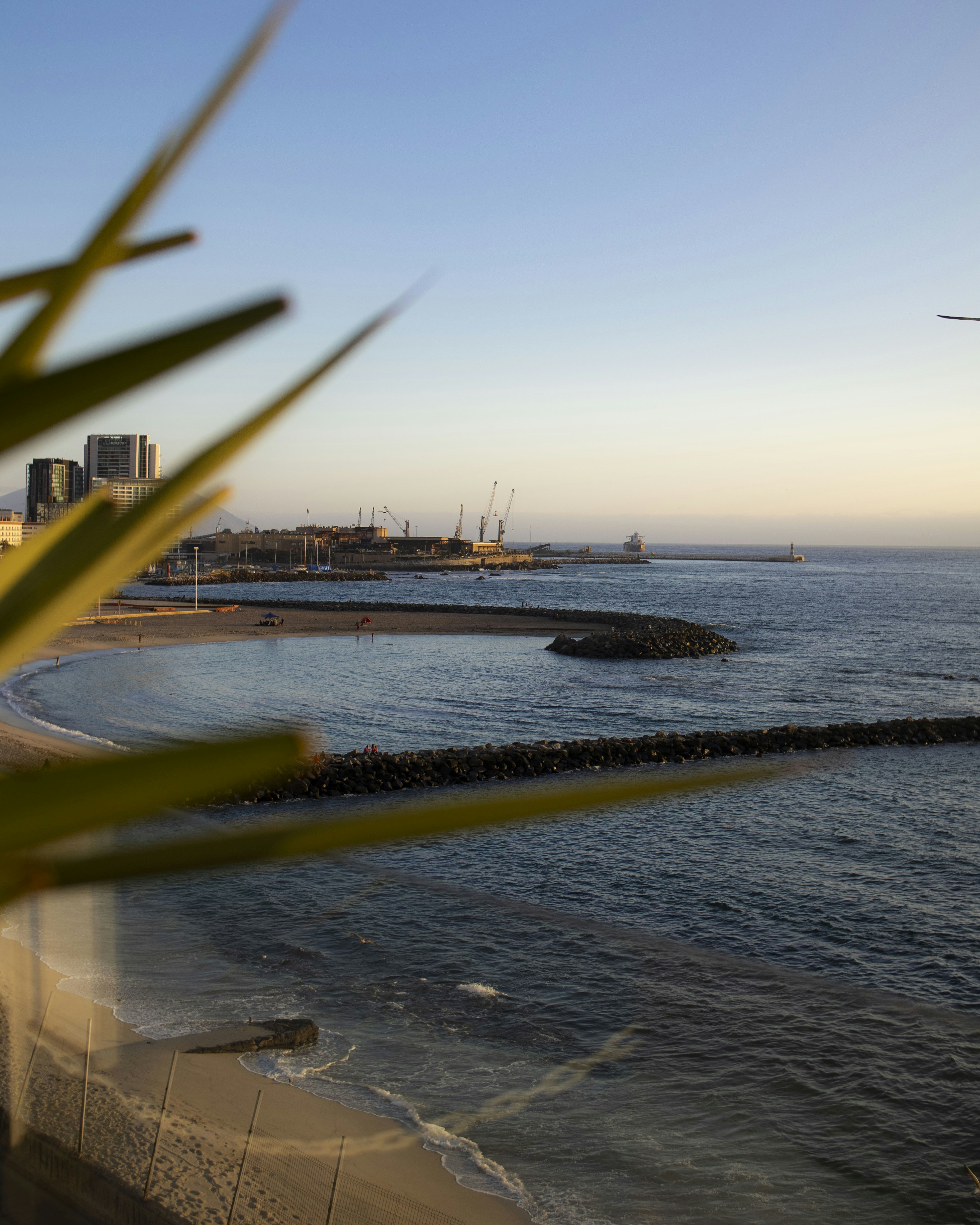 Sunlit Harbored Lines: Coastal Scene Framed by Plant Fronds