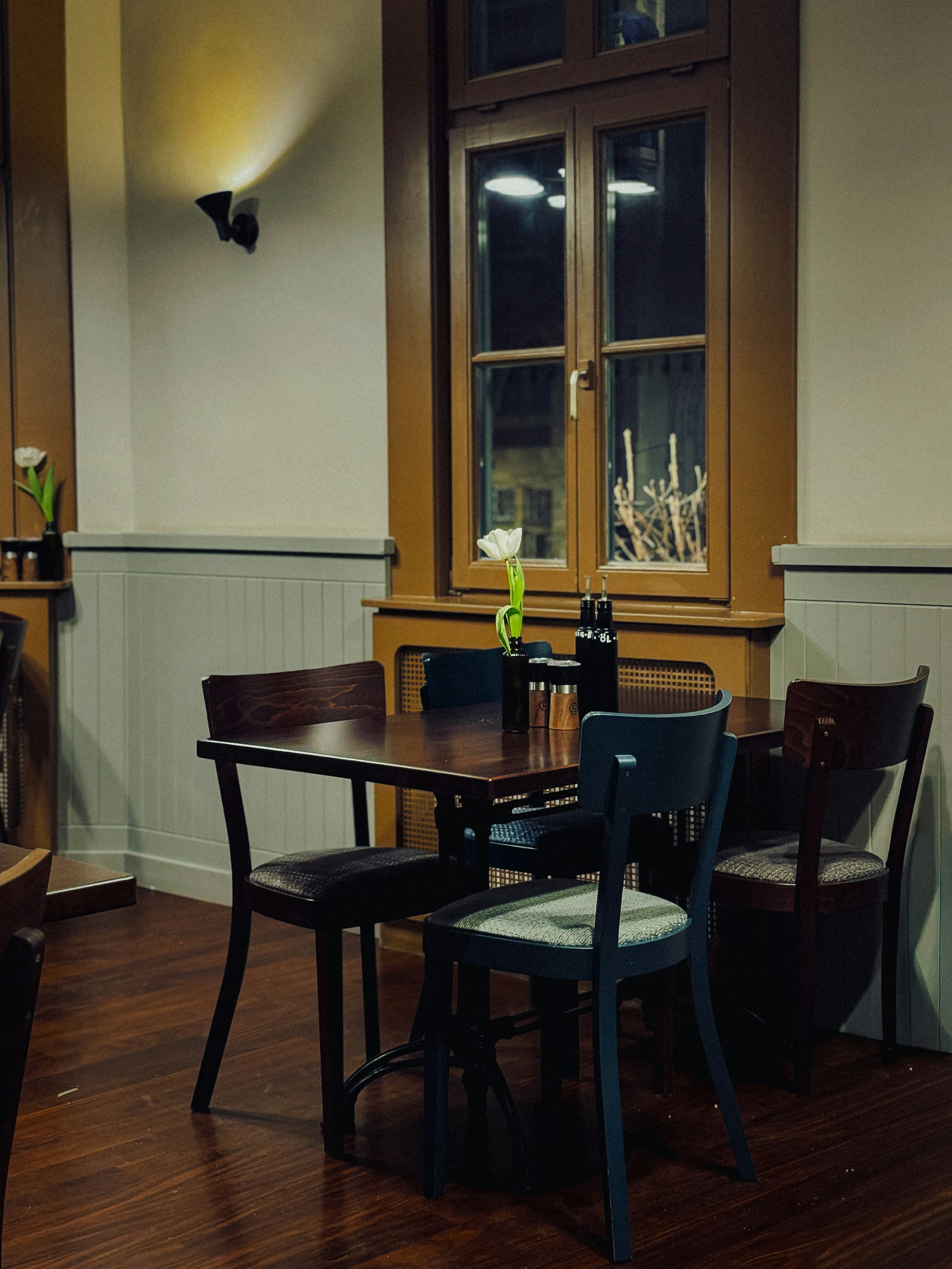Single Tulip on a Quiet Café Table