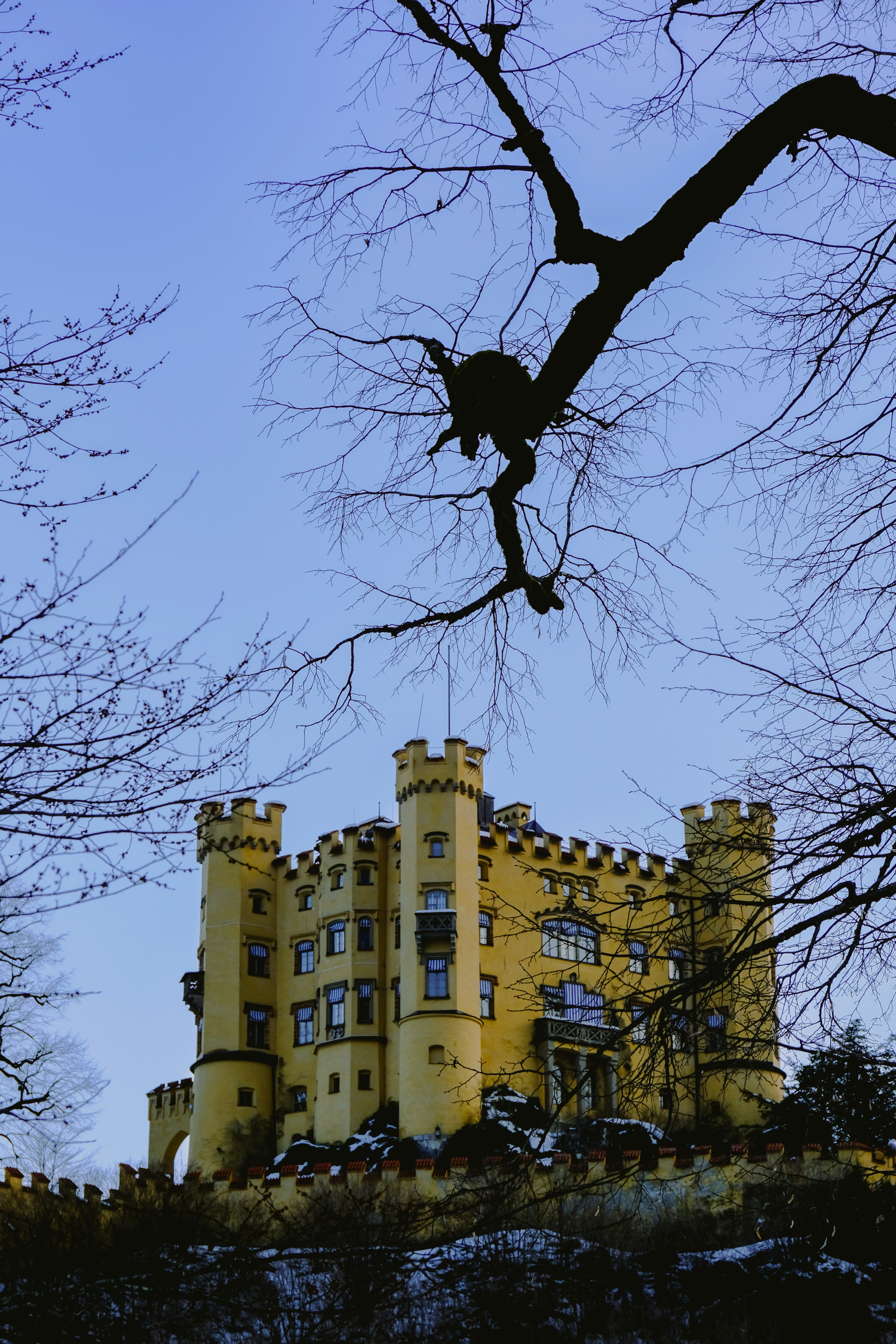 Castle in Winter Light: A Towering Fantasy Against a Leafless Sky