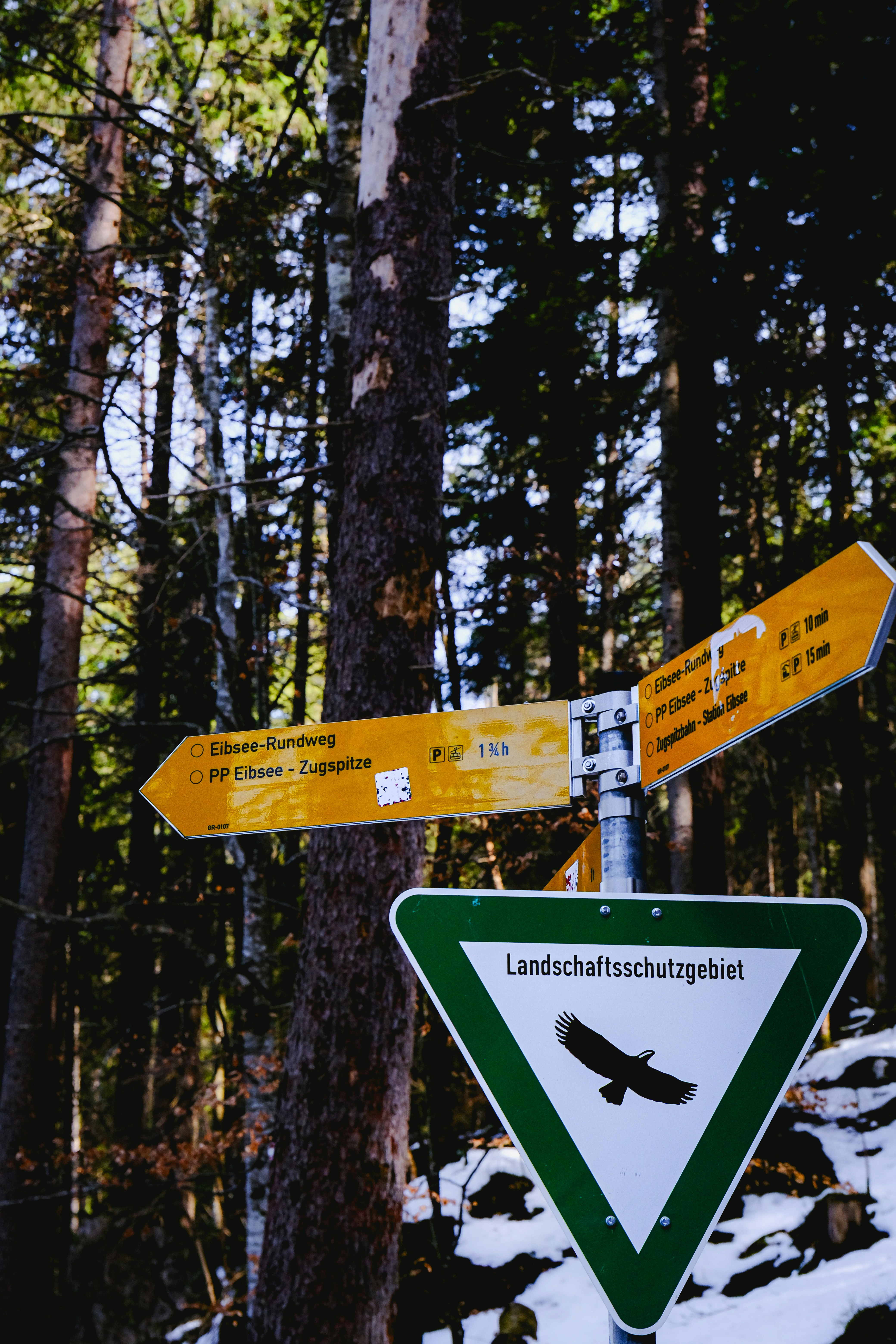 Trail Sign in a Snow-Dusted Forest