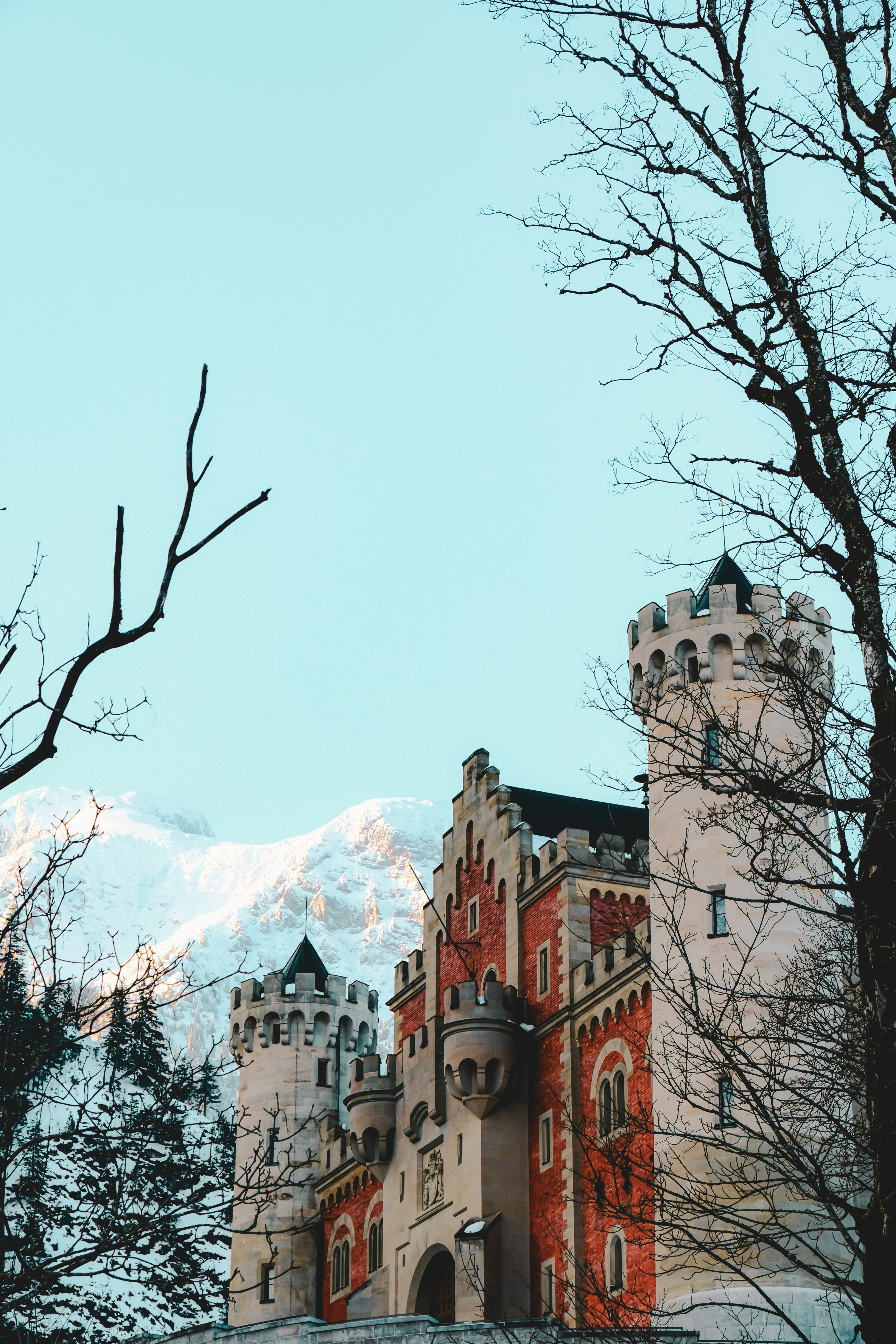 Castle in the Pines: A Snow-Capped Fortress Framed by Bare Branches