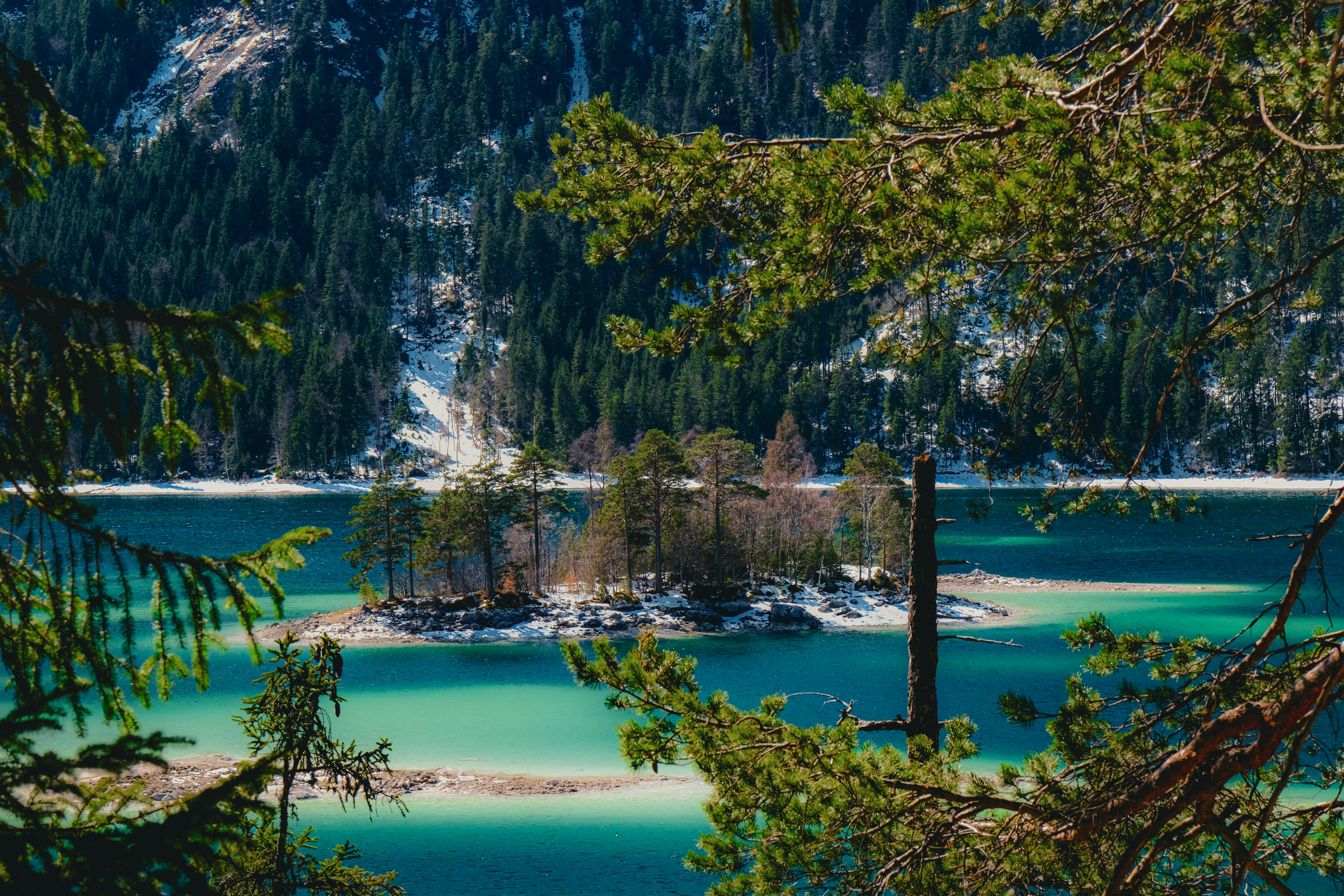 Emerald Basin Through Alpine Pines