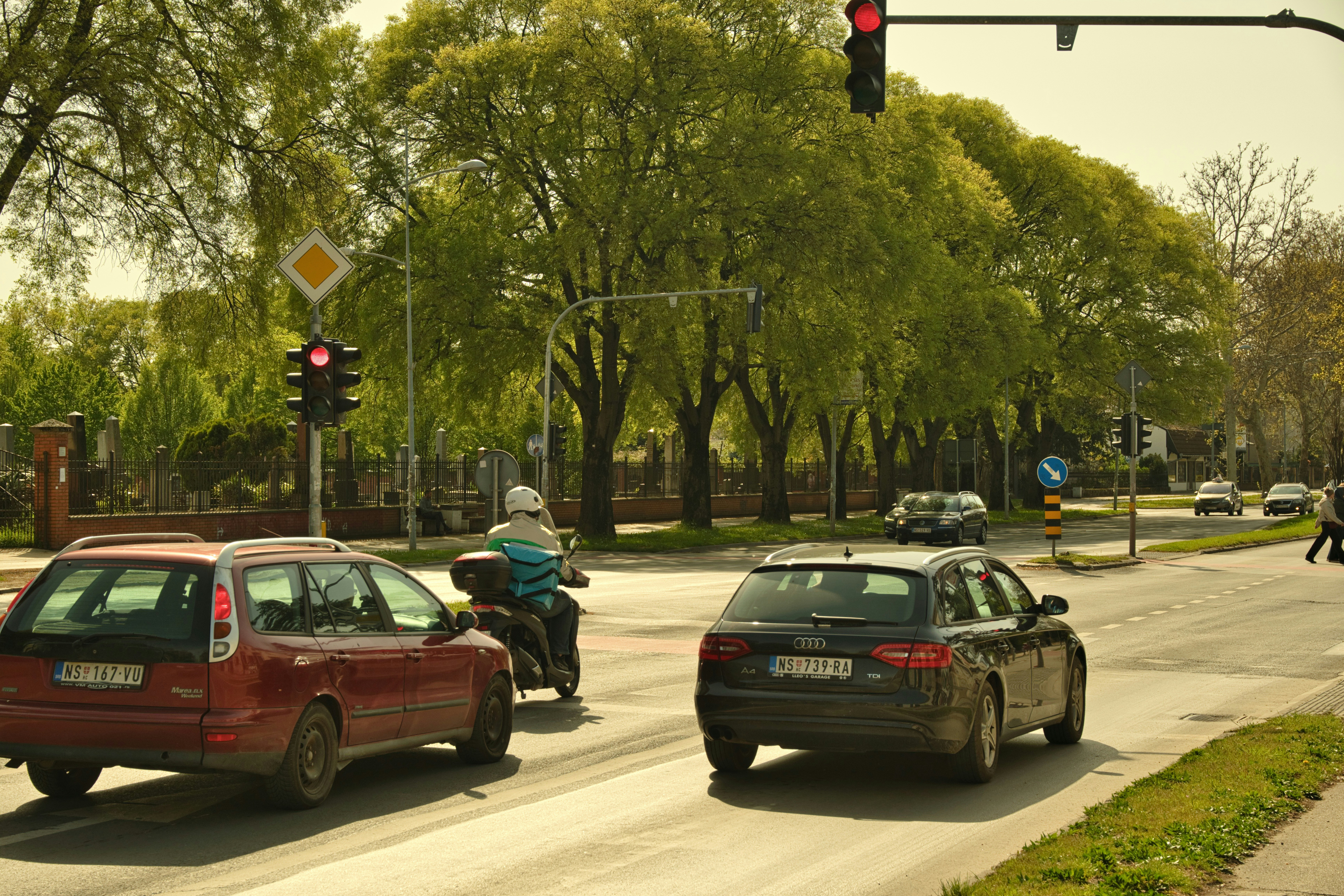 Rush Hour at the Tree-Shaded Crossroads