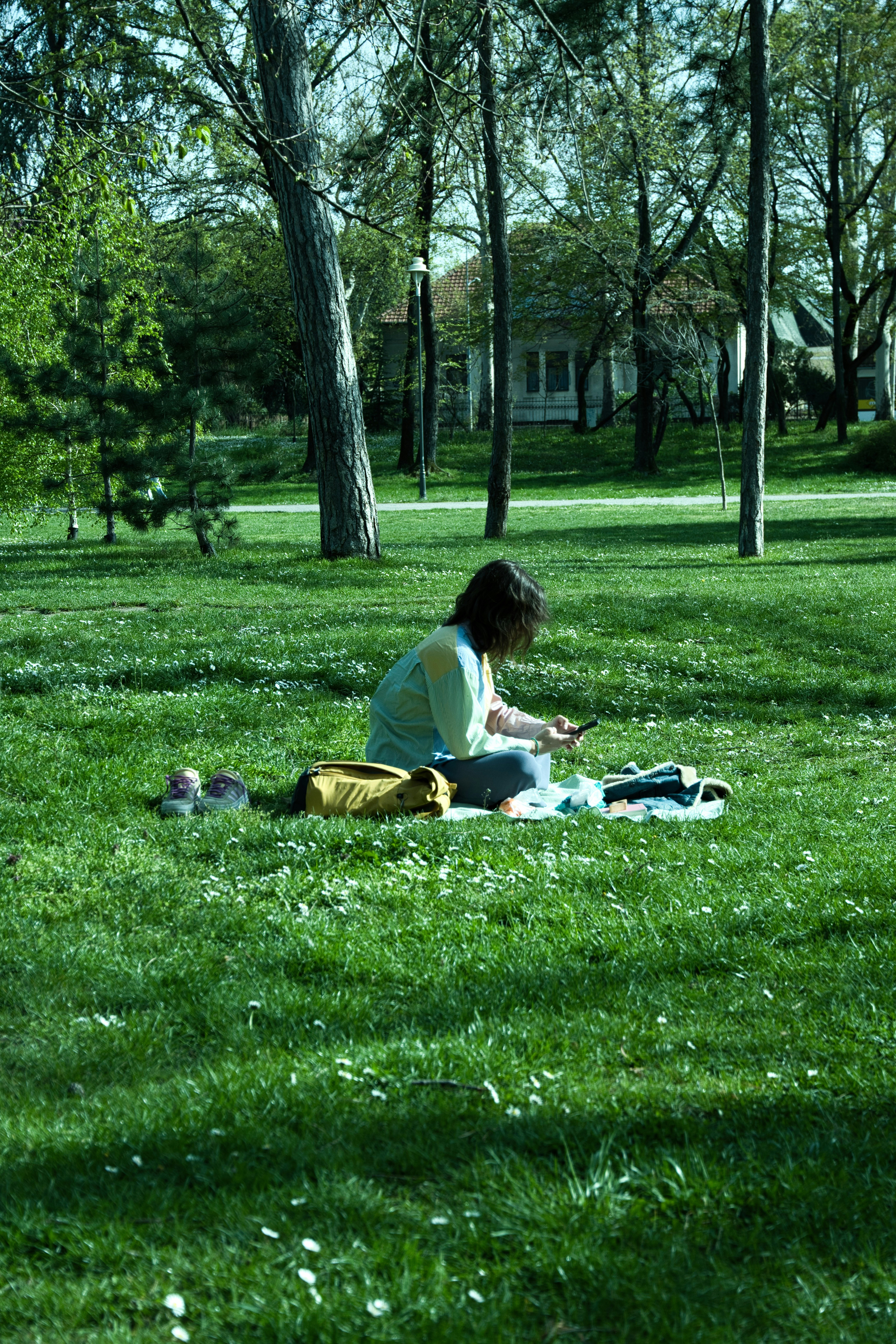 Quiet Moment: A Woman Comfortably Collected in a Sunlit Park