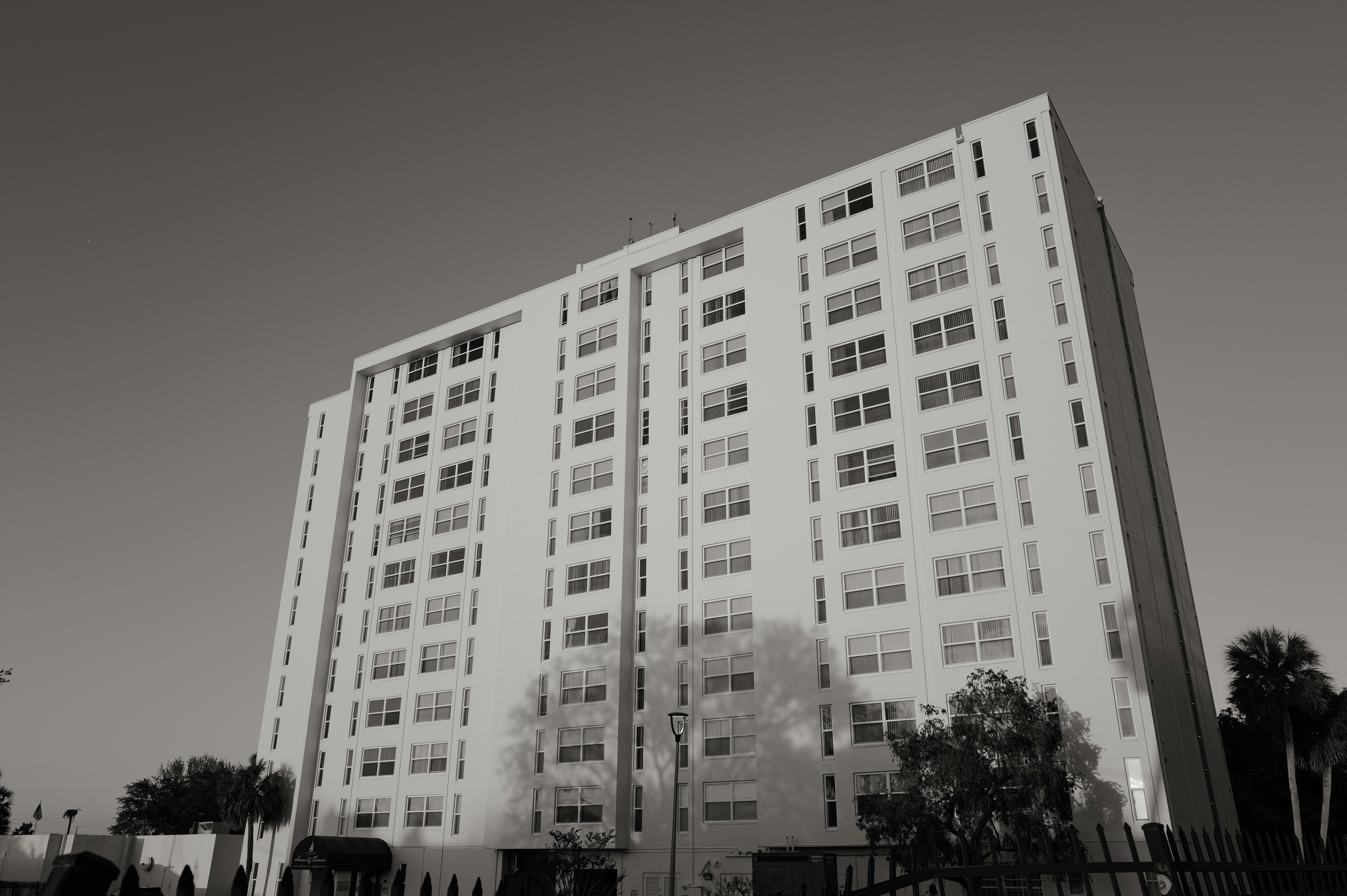 Towering Facade: A Mono Portrait of a Quiet Urban Structure
