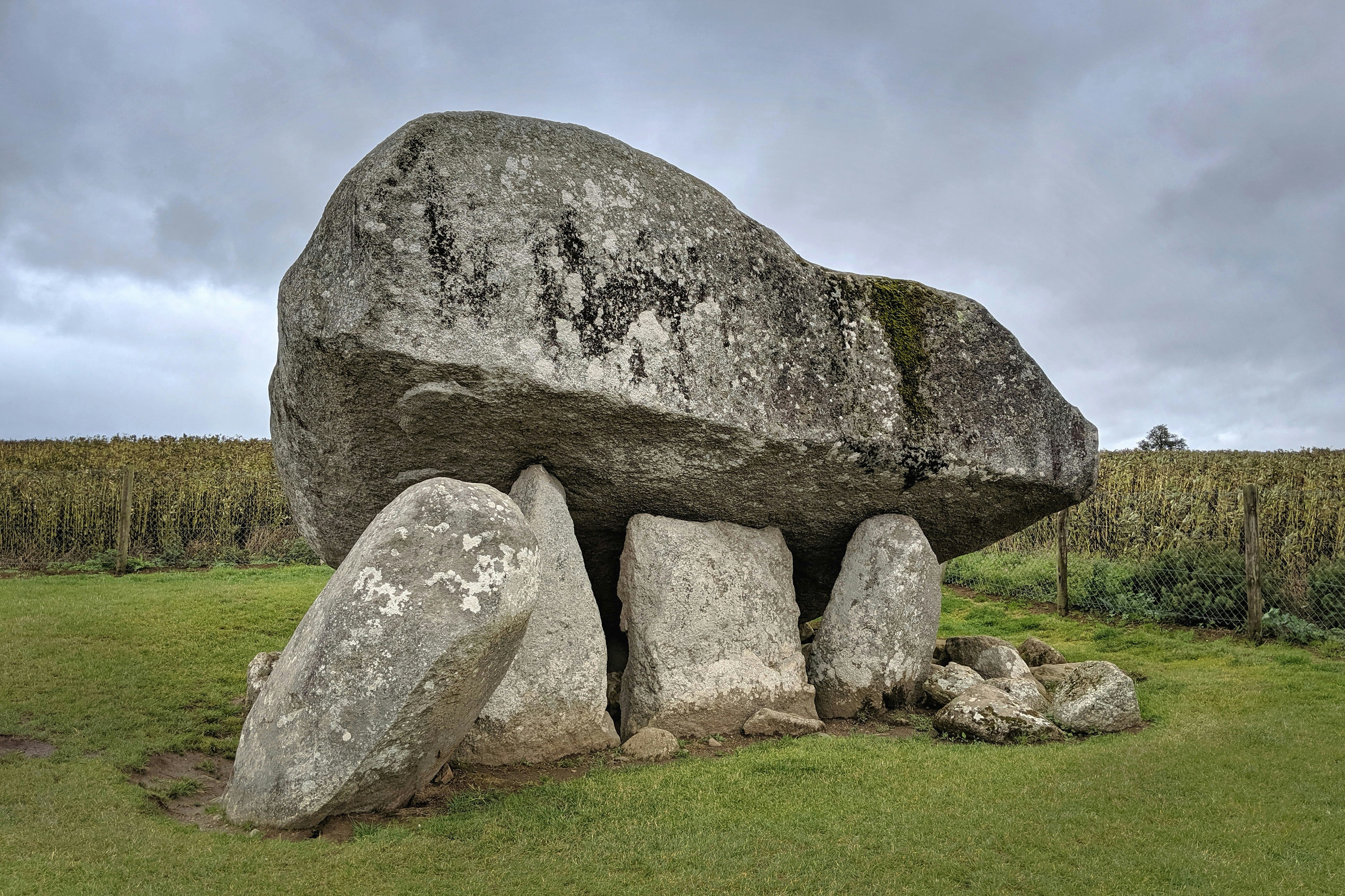 Capstone Under a Sky of Stones