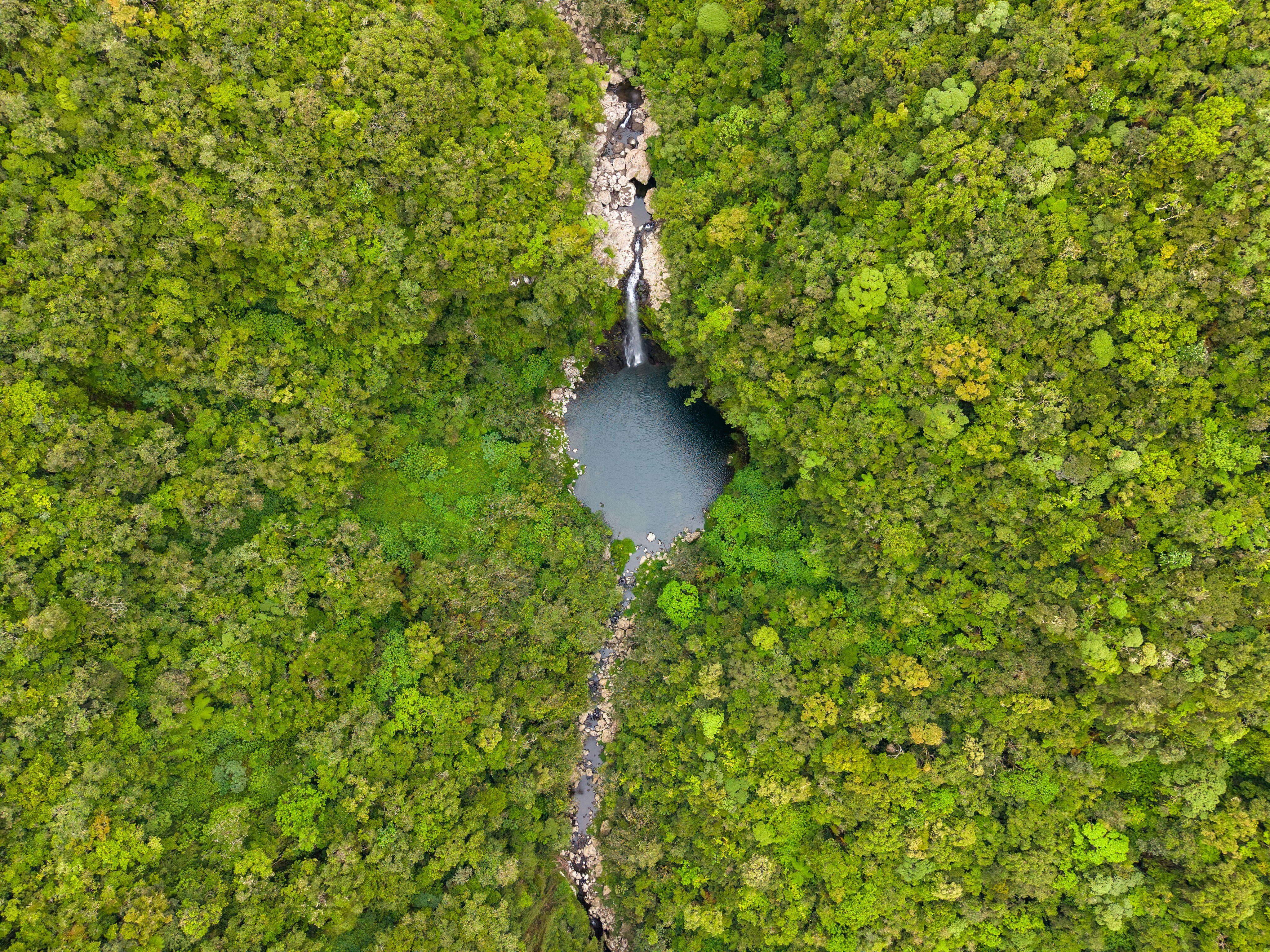 Hidden Lagoon Gate: A Winding Creek Breaches the Canopy