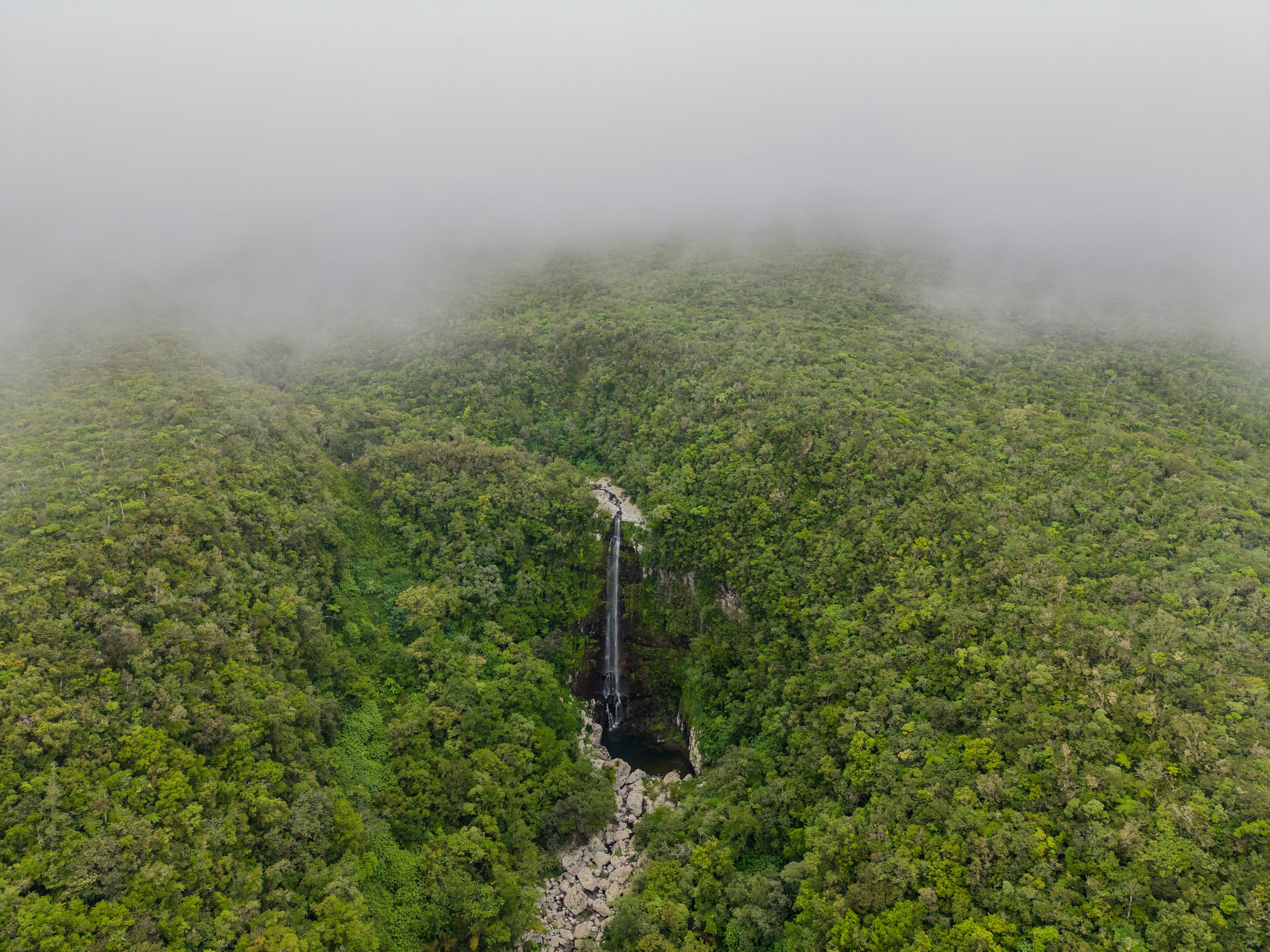Mist-shrouded Canyon Falls Hidden in the Emerald Canopy