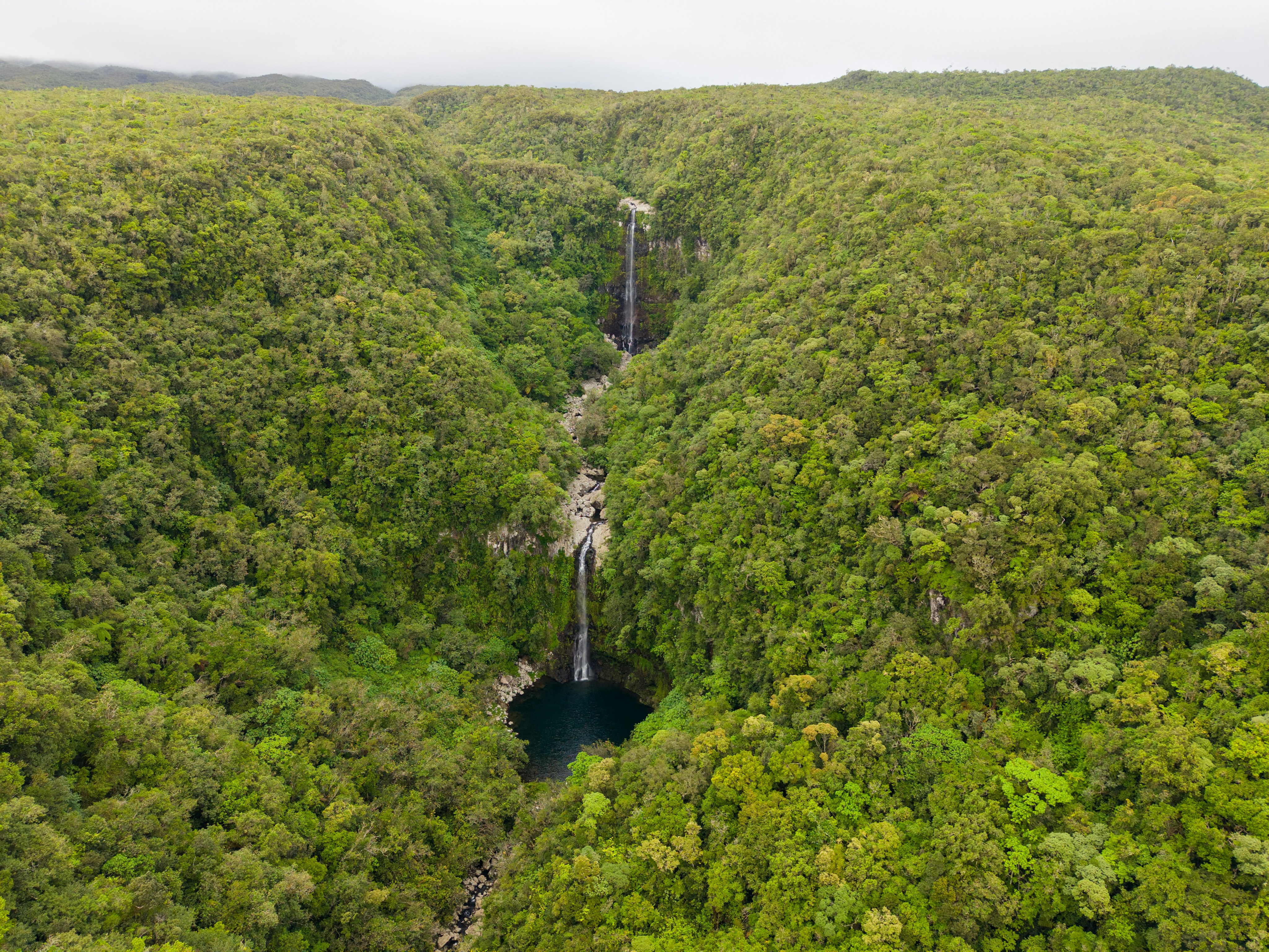 Vertical Drizzle: A Narrow Canyon of Green