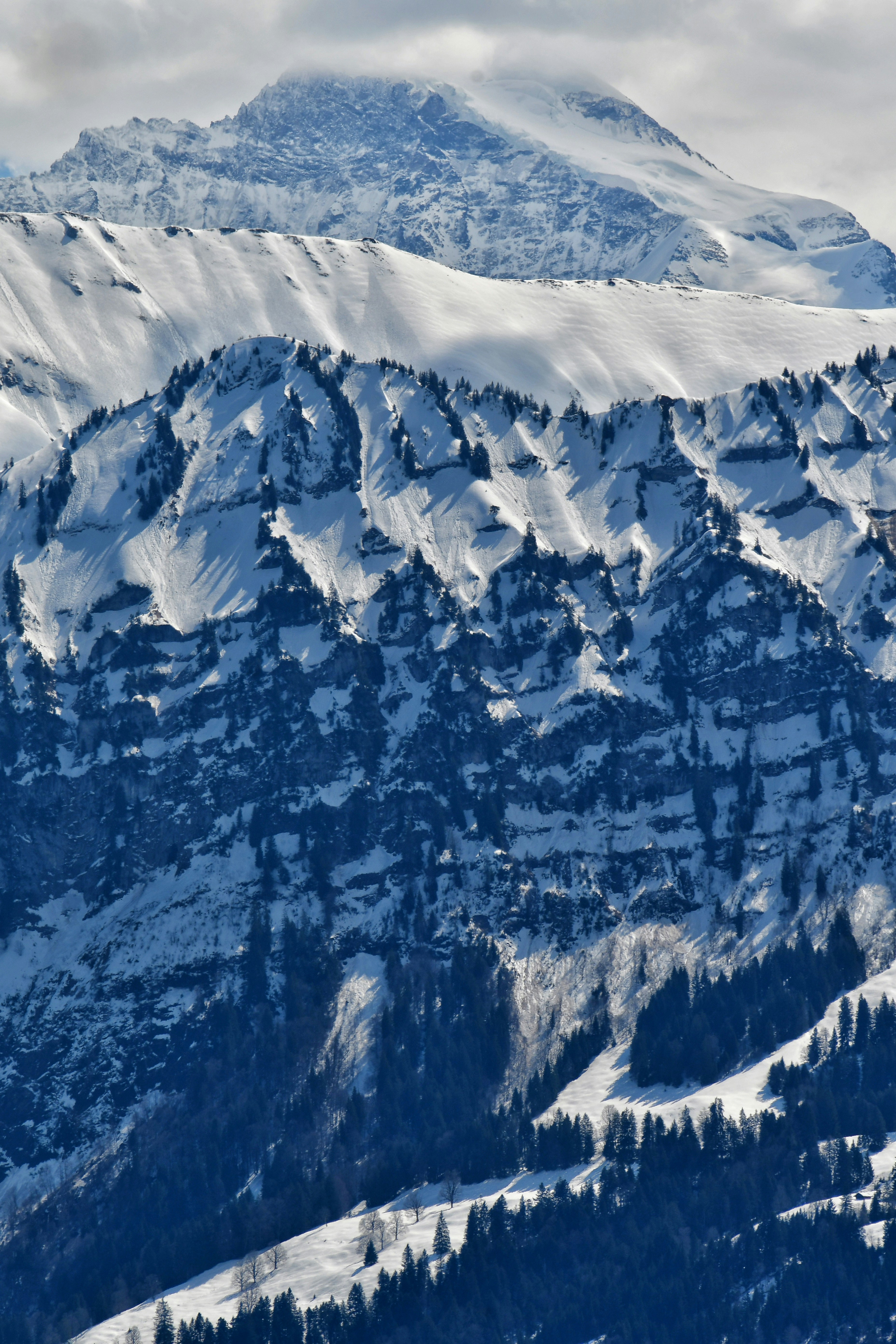 Frosted Apex: Summit Shadows Over Snow-Crowned Peaks