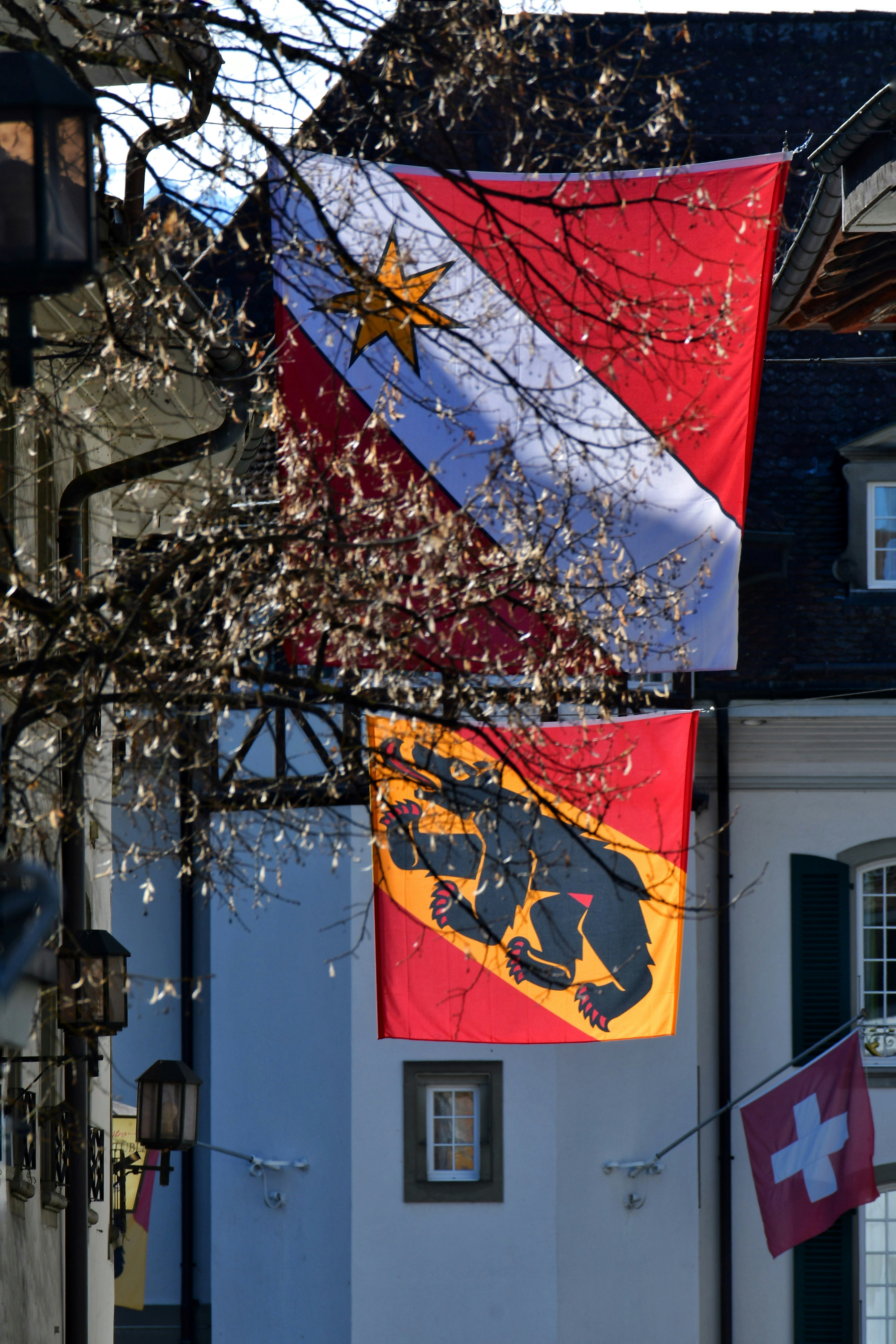 Flagged in Autumn Light: A Street of Symbols
