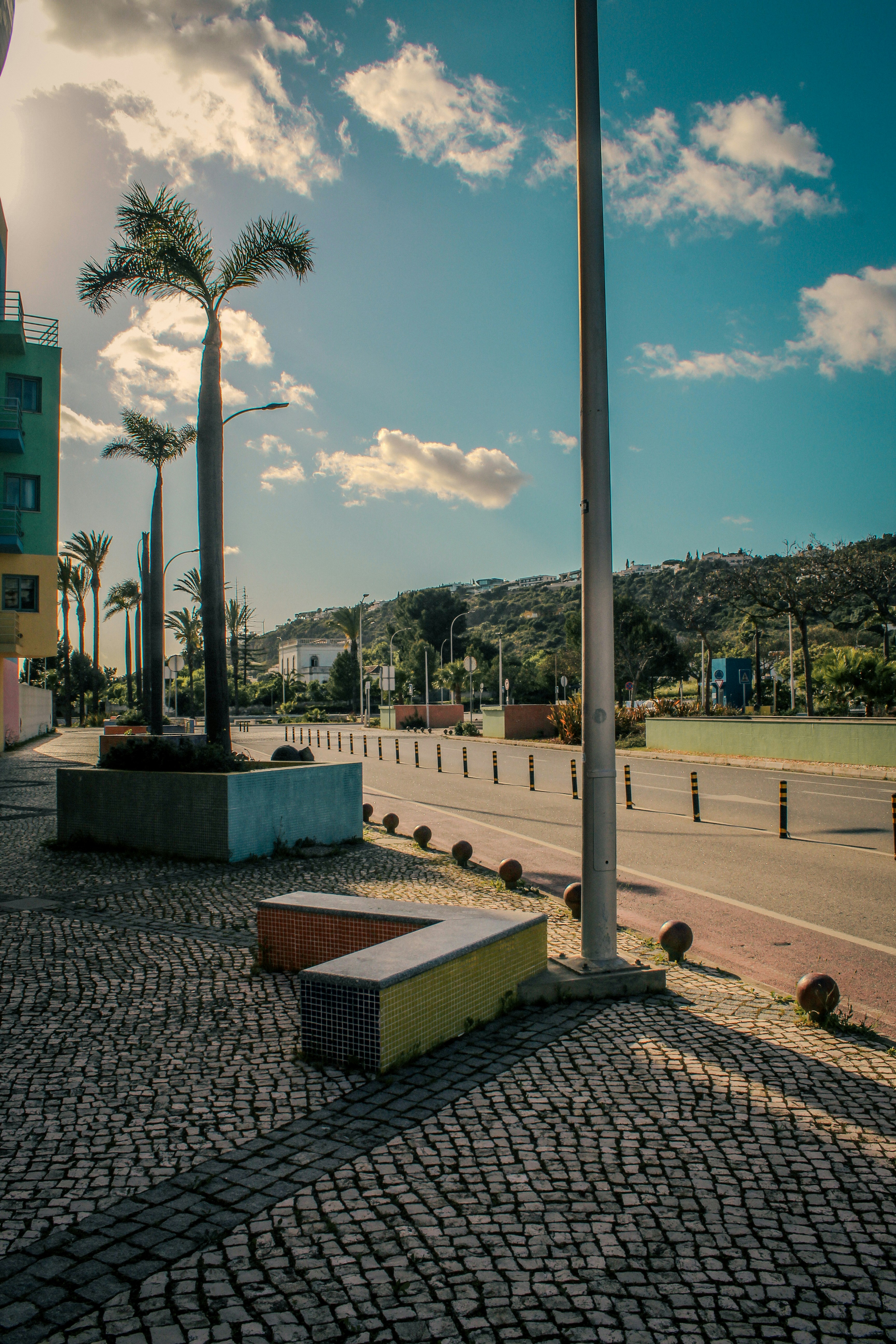 Sunlit Promenade under a Palm-Frame Sky