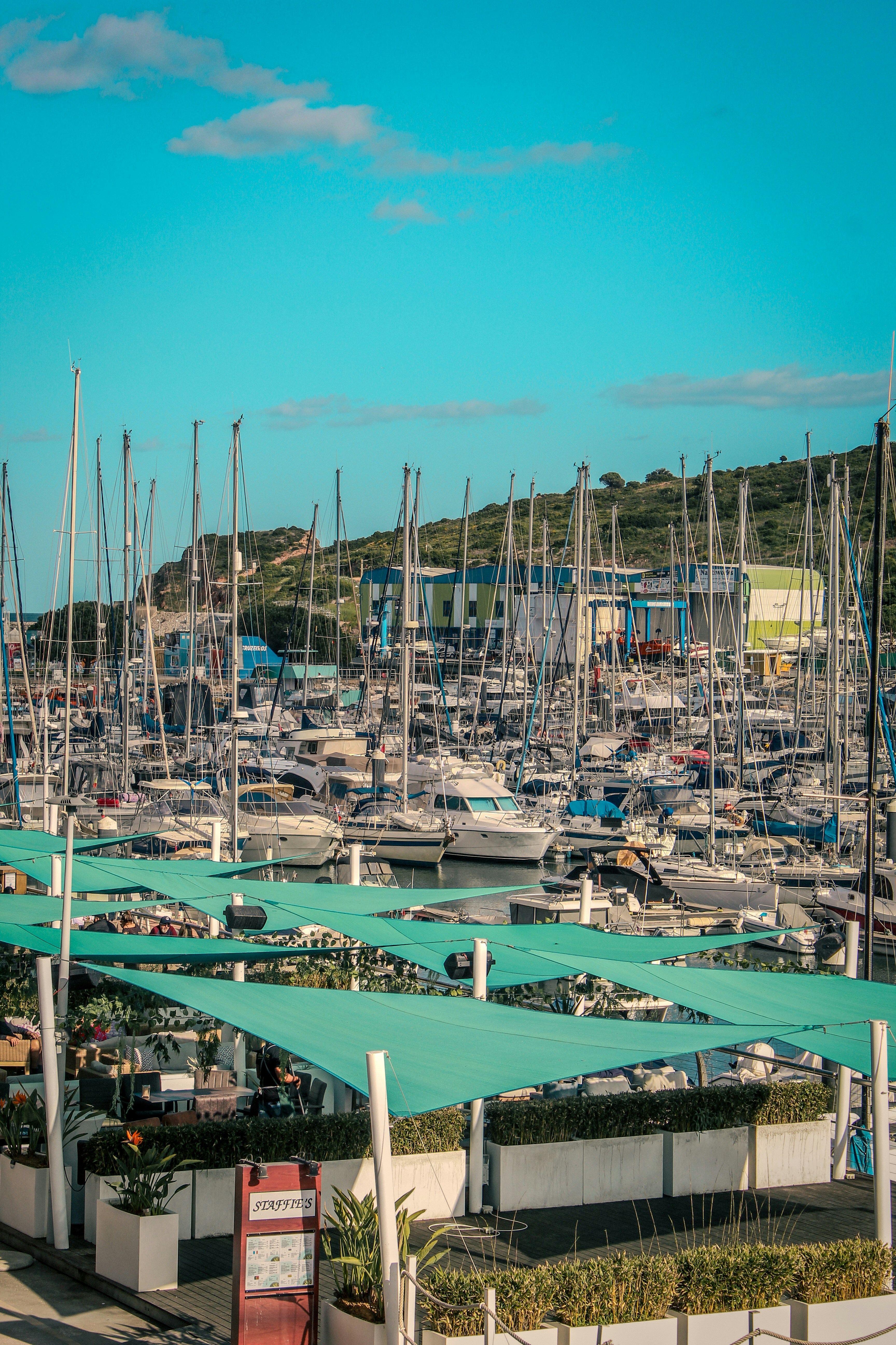 Marina Mosaic: A Sea of Sails and Shade