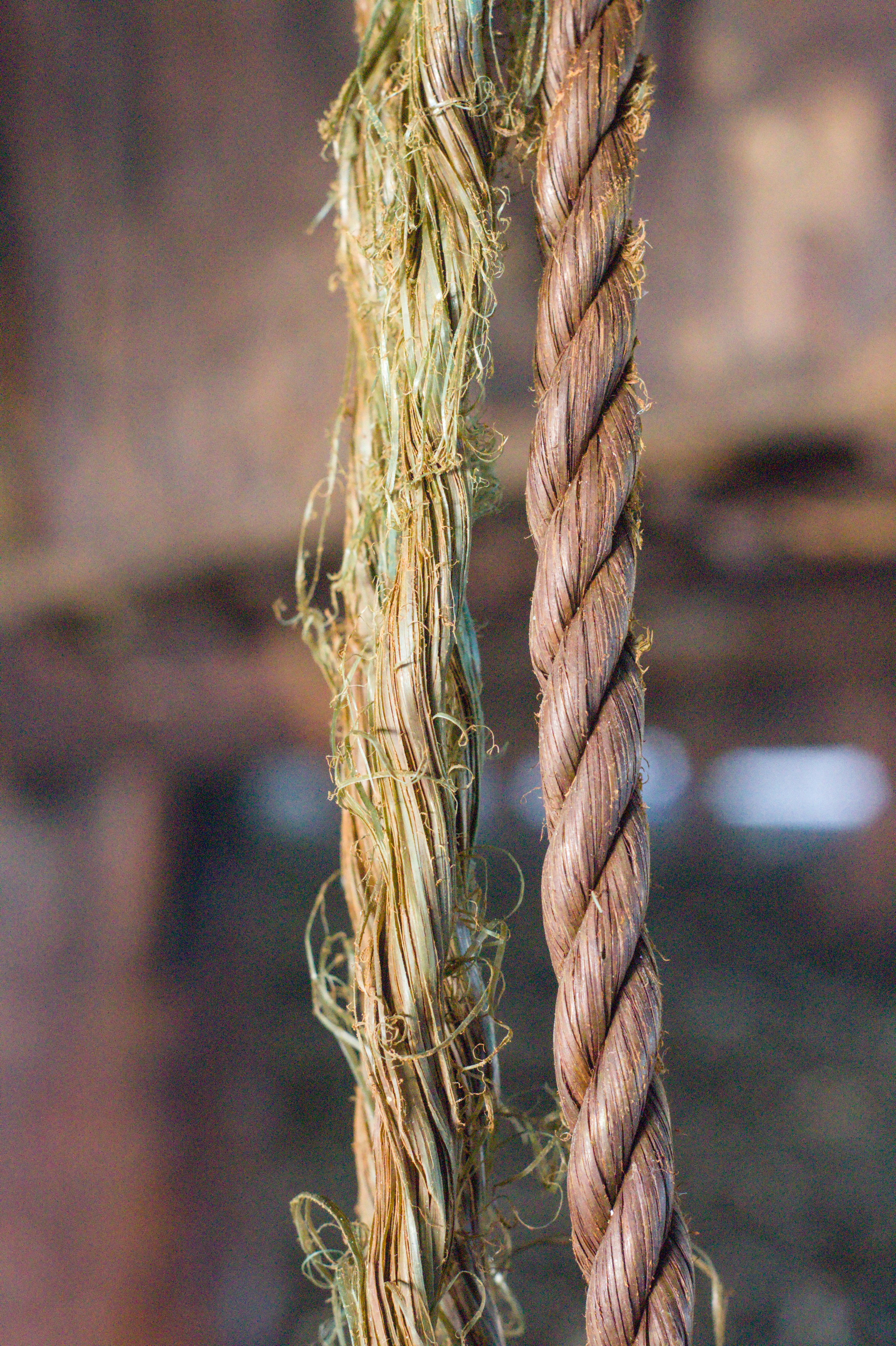 Two Weathered Ropes: A Close-Up of Frayed Fibers in a Silent Setting