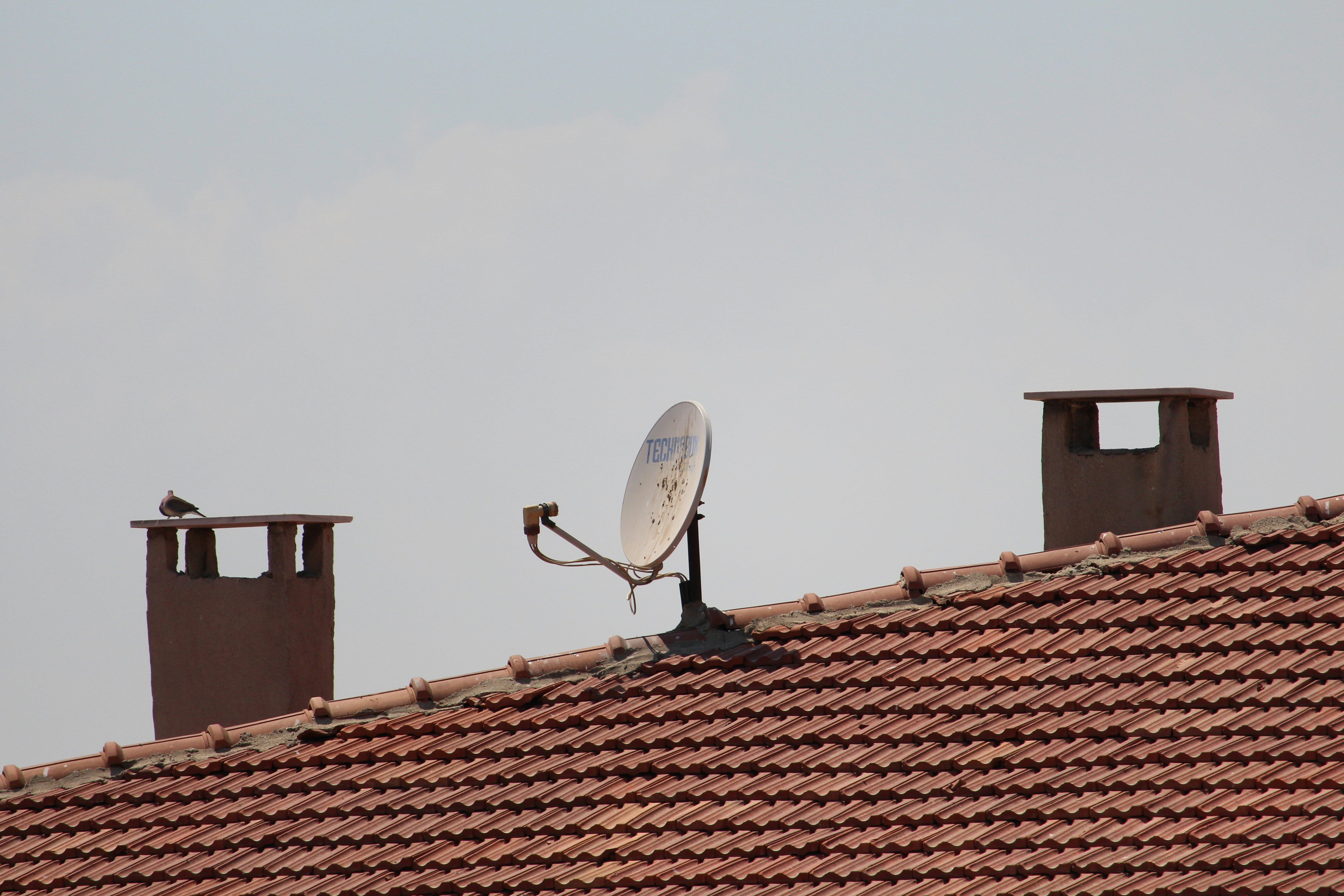 Satellite on a tiled roof: a quiet rooftop scene with a lone dish