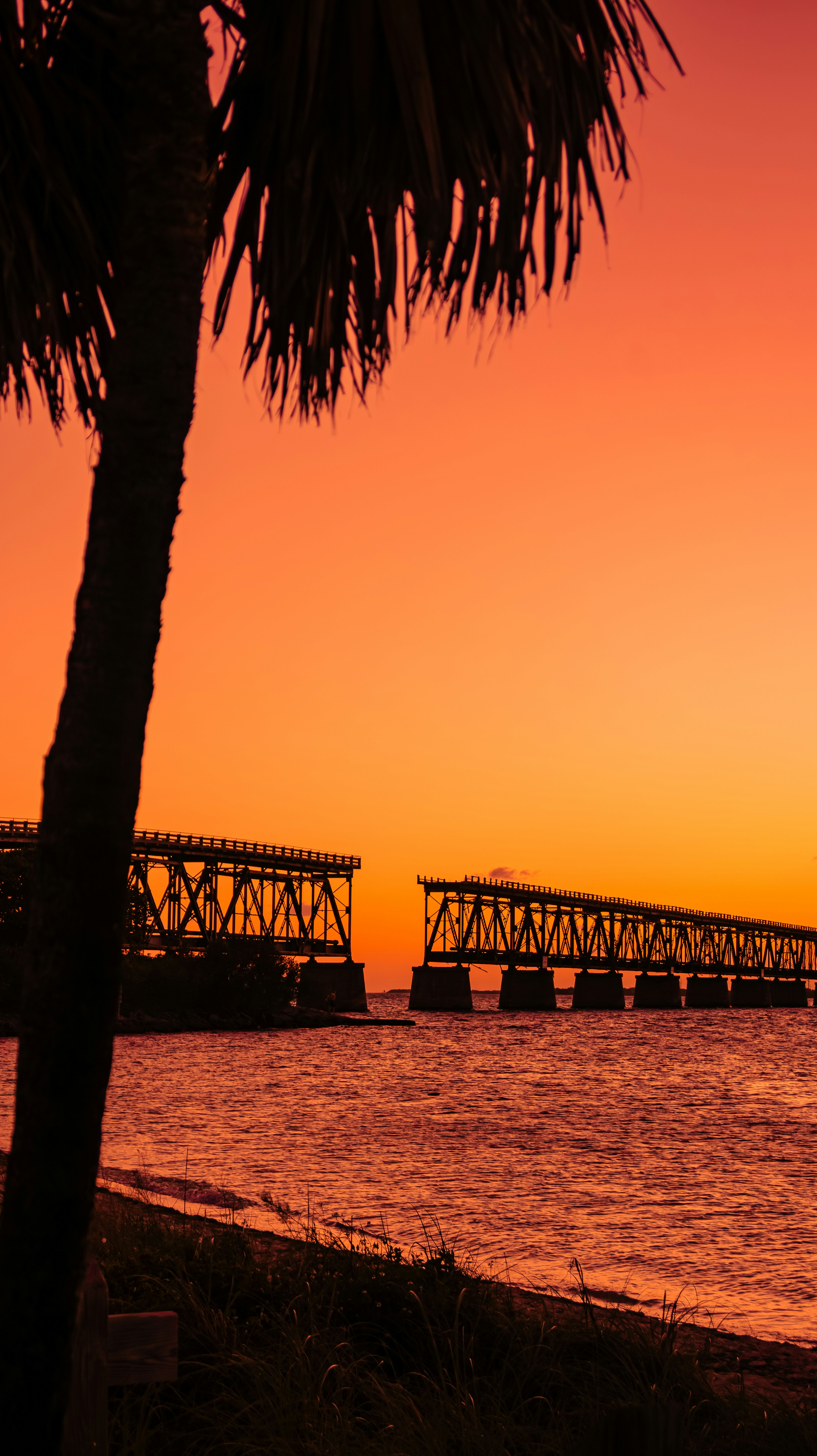 Silhouetted palm foreground with a distant orange sunset over calm water and a rail bridge extending across the horizon; a serene coastal scene with strong contrasts. This is a photographic capture, not an illustration.