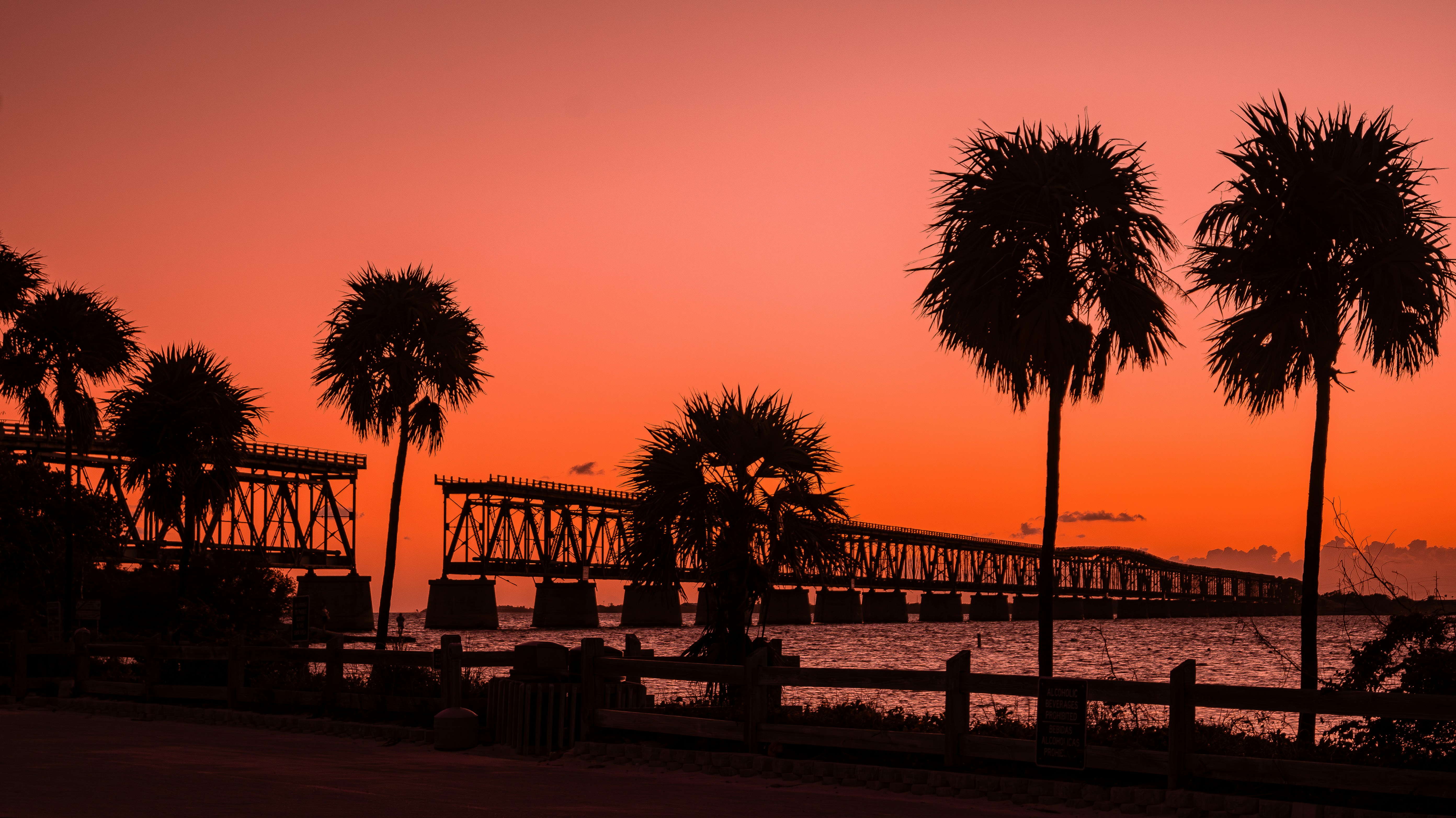 Sunset Silhouette Over the Palm Harbor