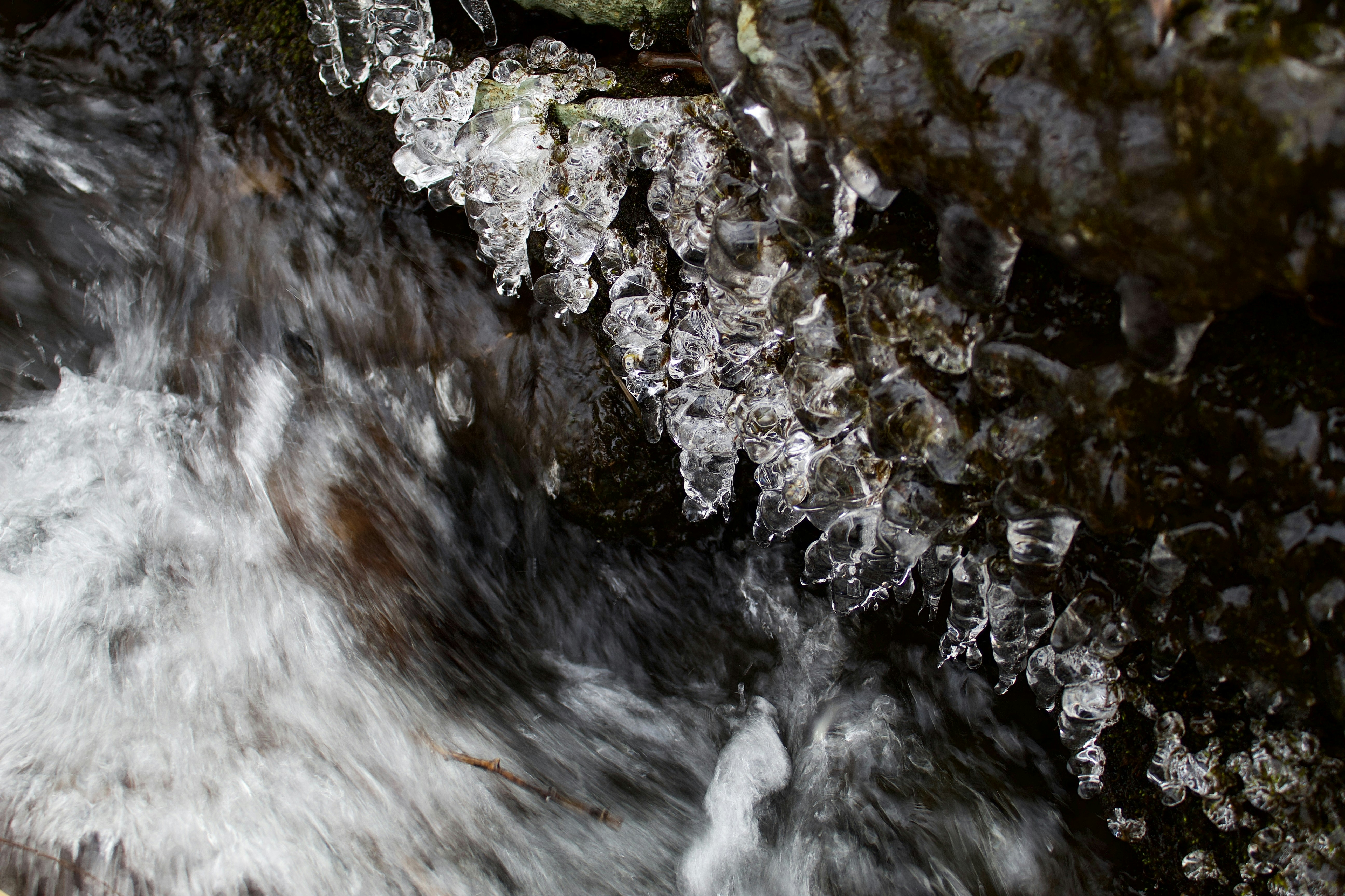 Crystal shards cling to a rushing glacier-fed stream