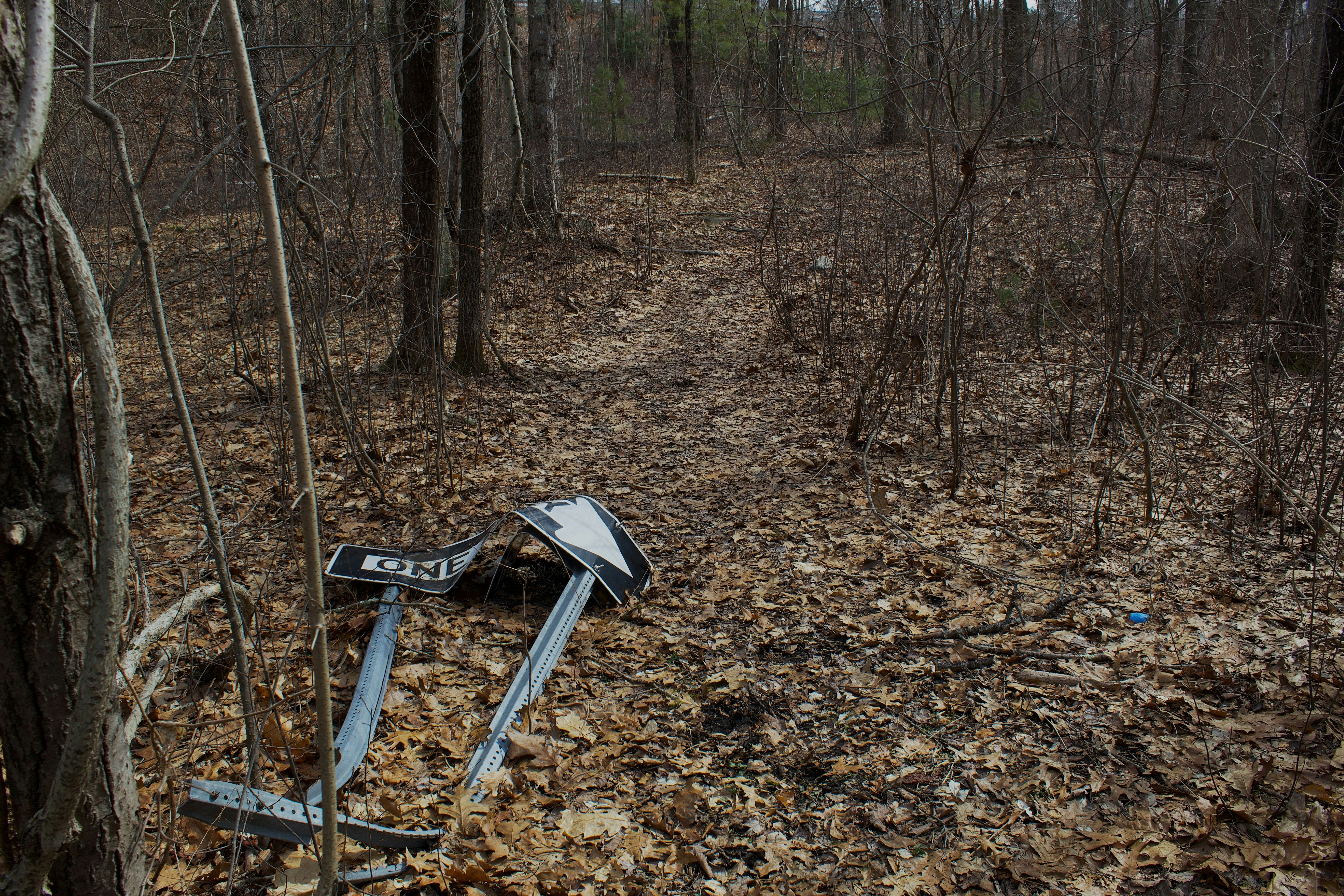Forgotten Arcade in the Leaf-Littered Forest
