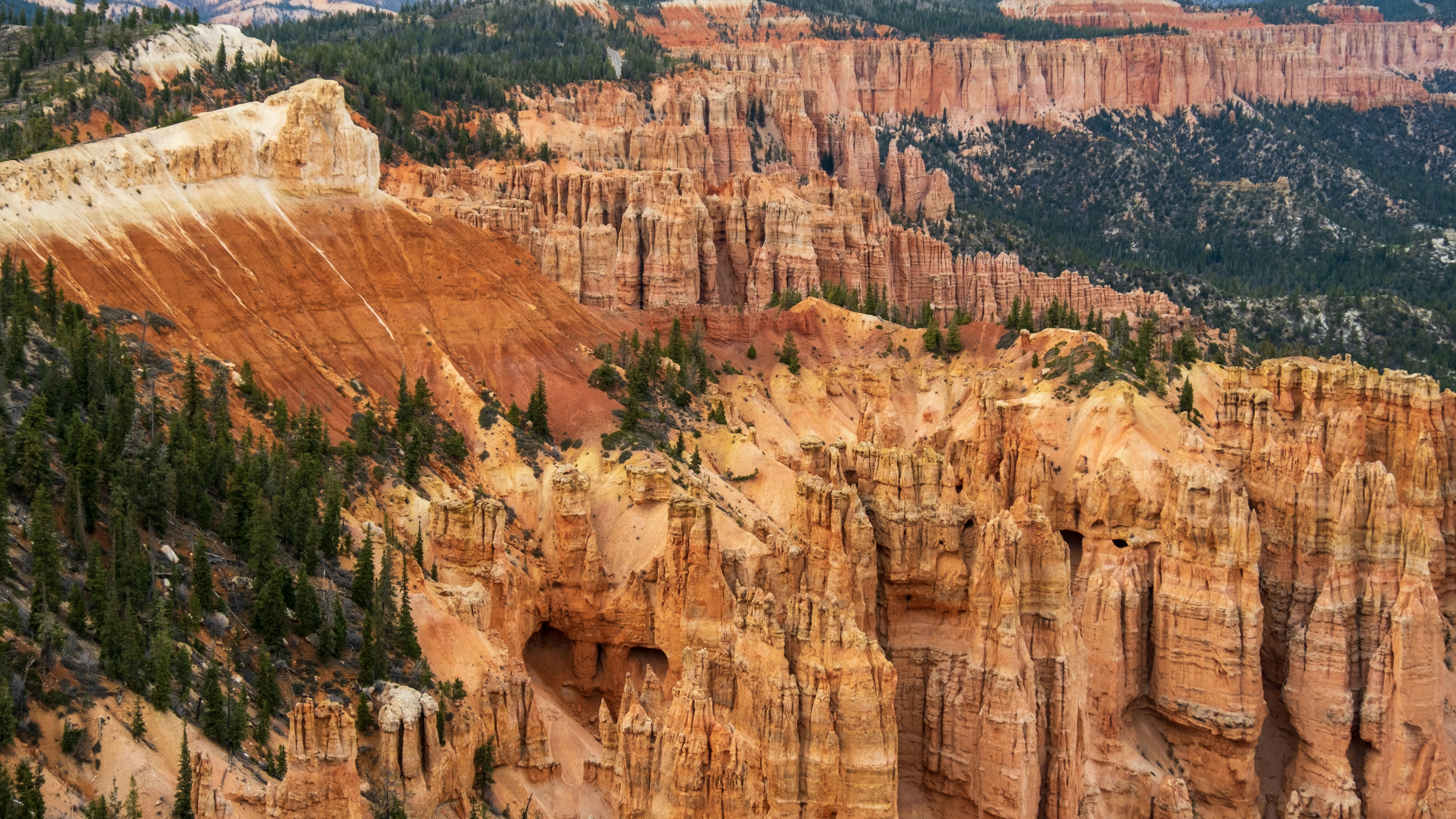 Whispering Cliffs of Burnt Orange Canyon