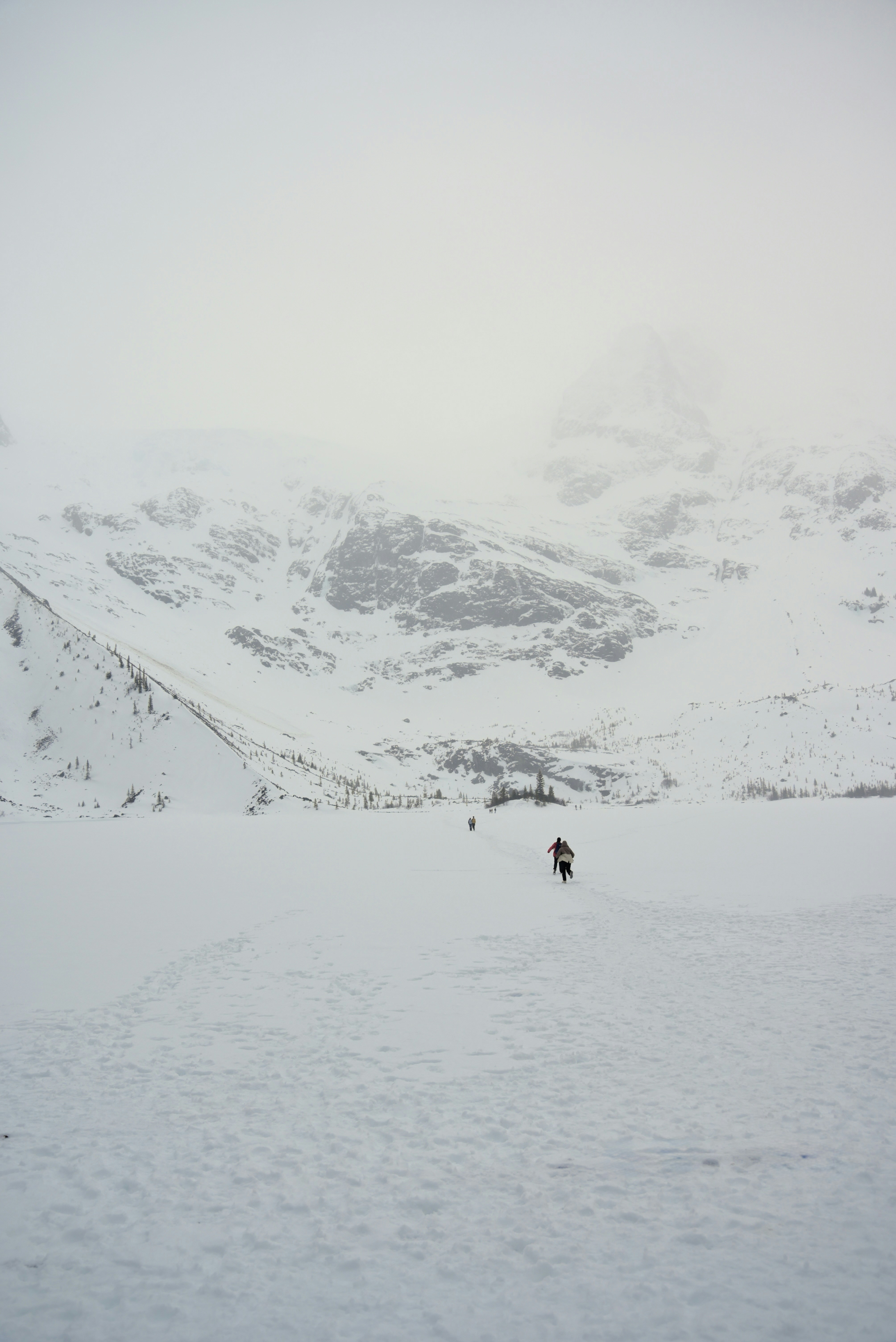  lone skier carving a path through a silent alpine expanse