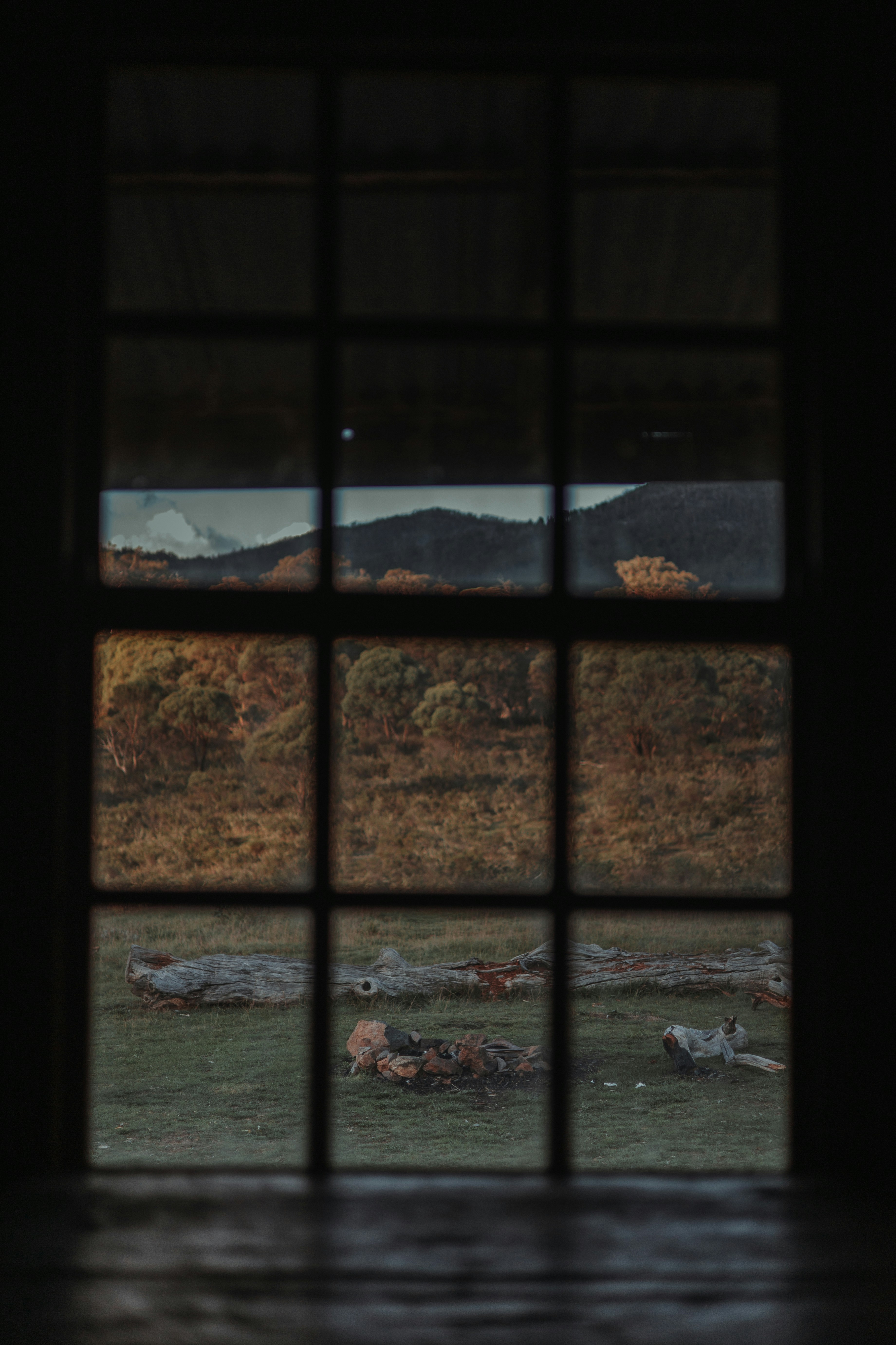 Light Through Gridded Frame: Pastoral Hills and Animals in a Windowed Scene