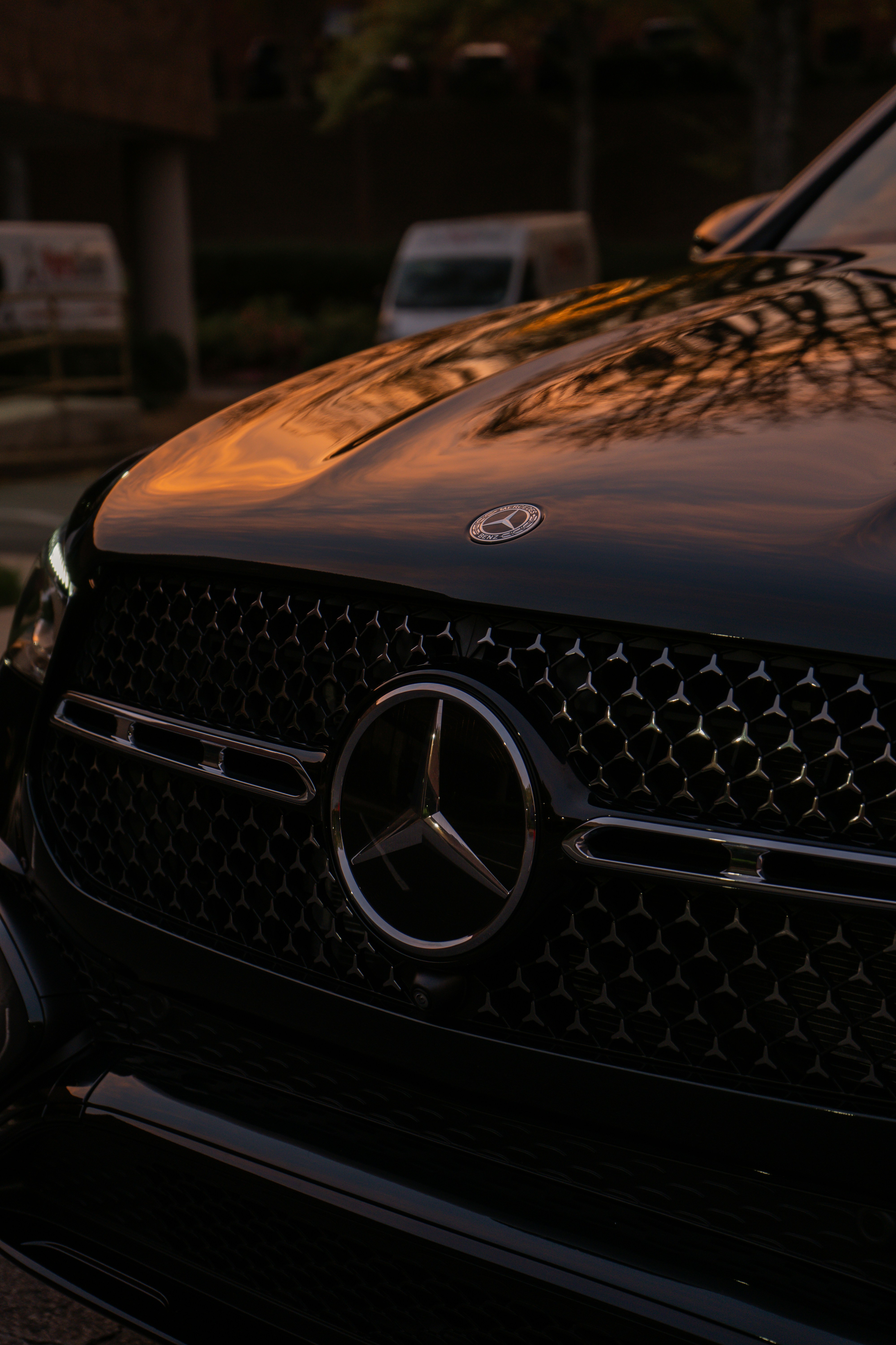 Mercedes-Benz Emblem on a Glossy Hood at Golden Hour