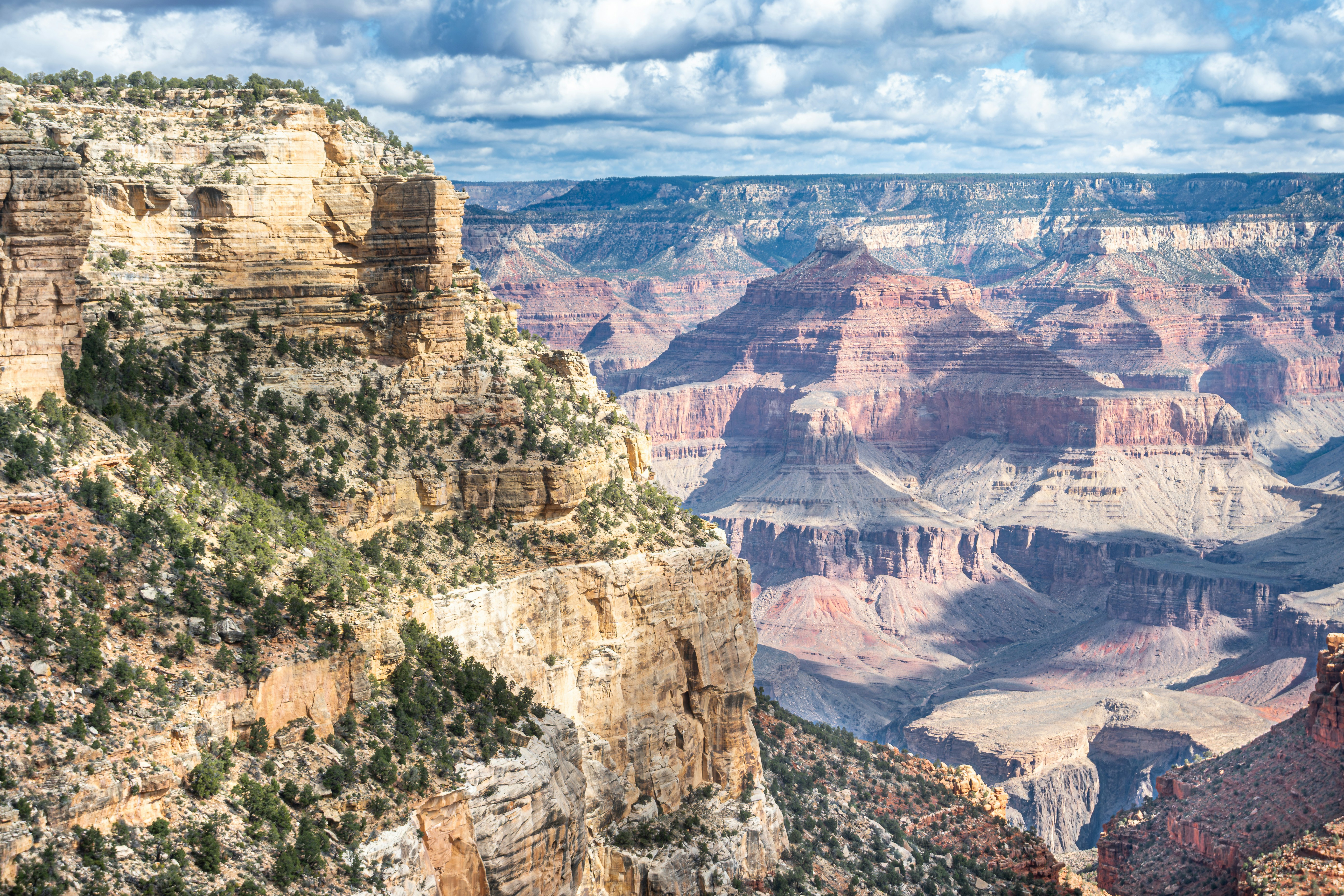 Edge of the Canyon: Sunlit Cliffs and Deep Vistas