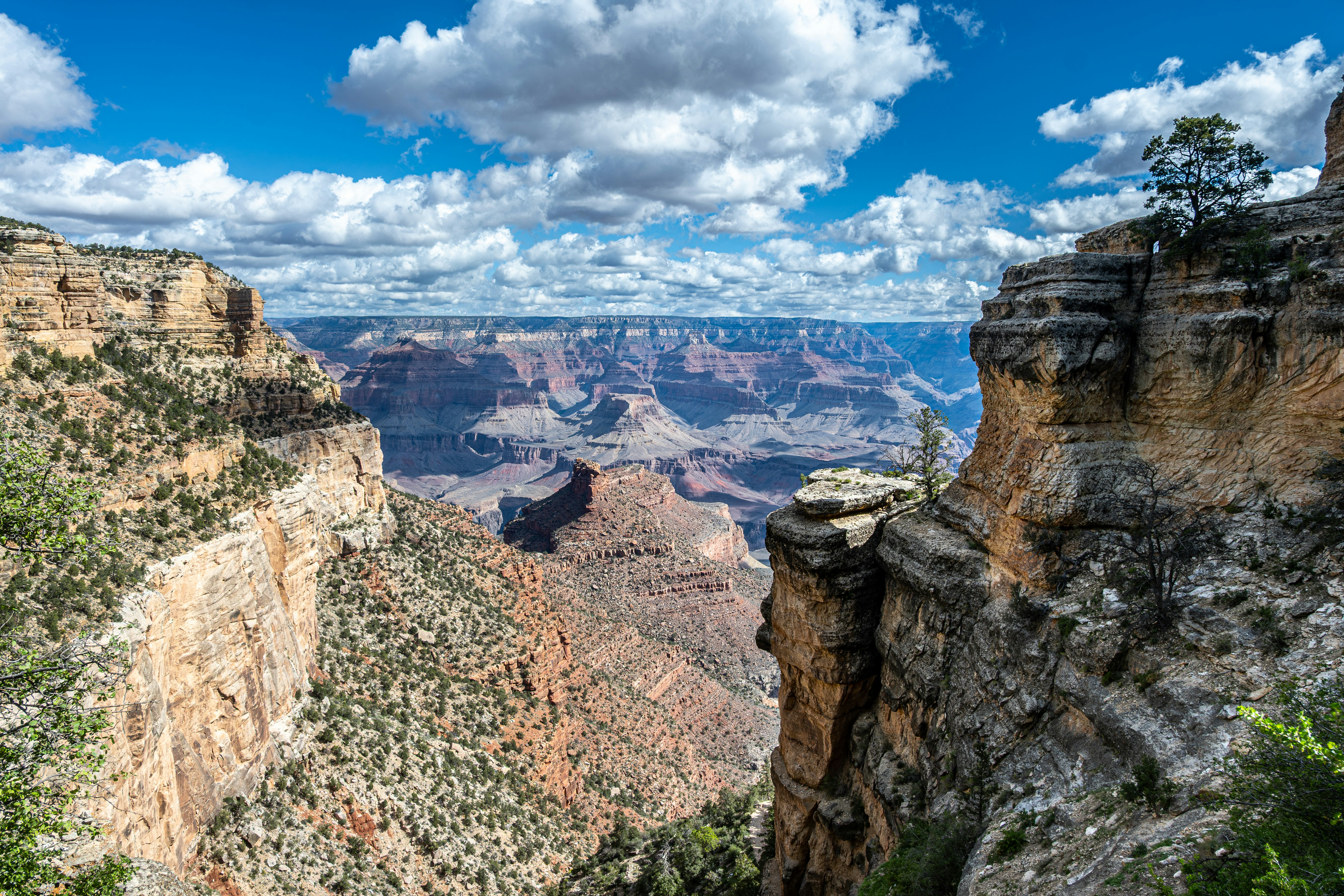 Canyon Edge Perspective: Sunlit Ridges Converge Toward the Abyss