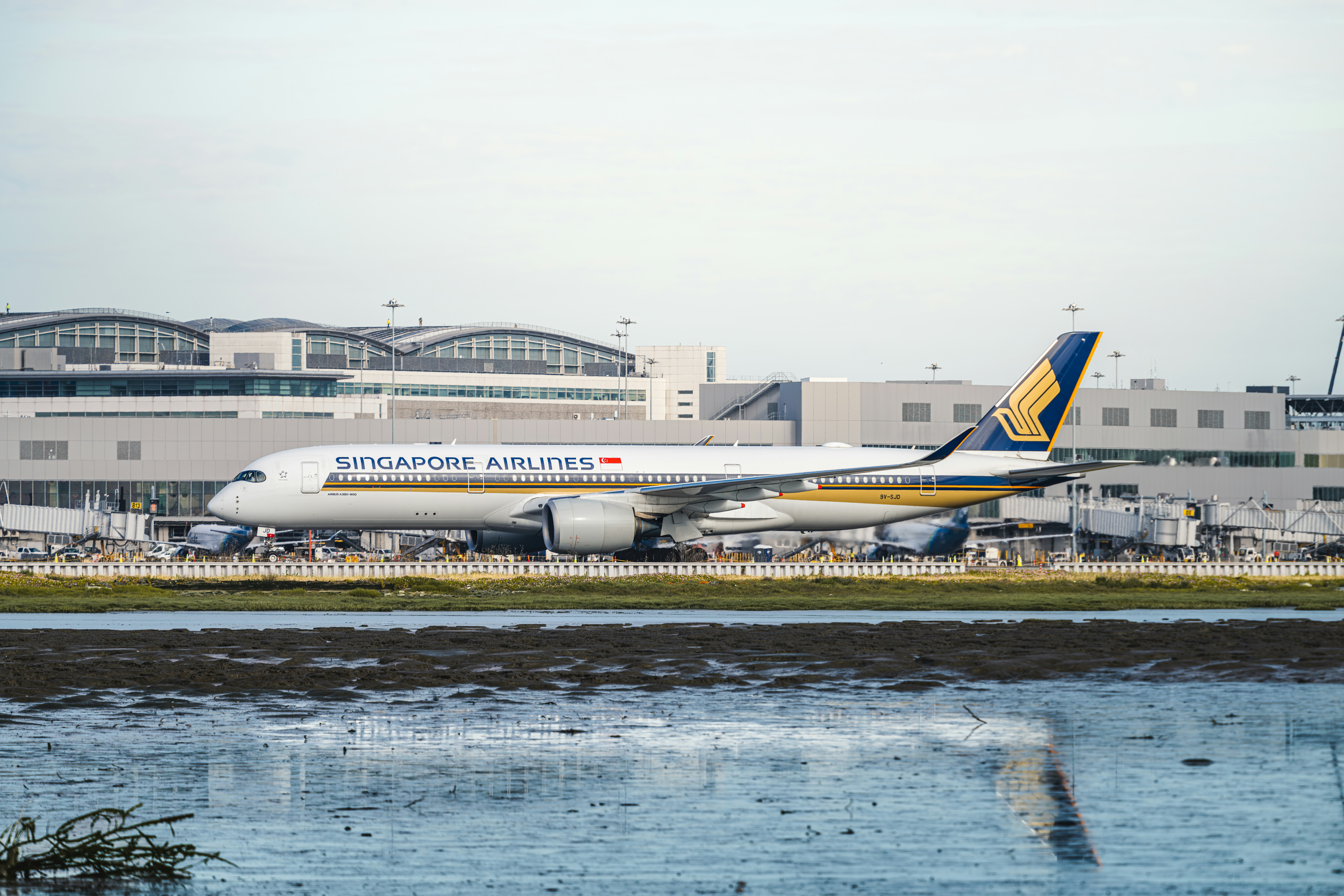 Jet at the Gate: Singapore Airlines A350/A320 on the Tarmac by the Water