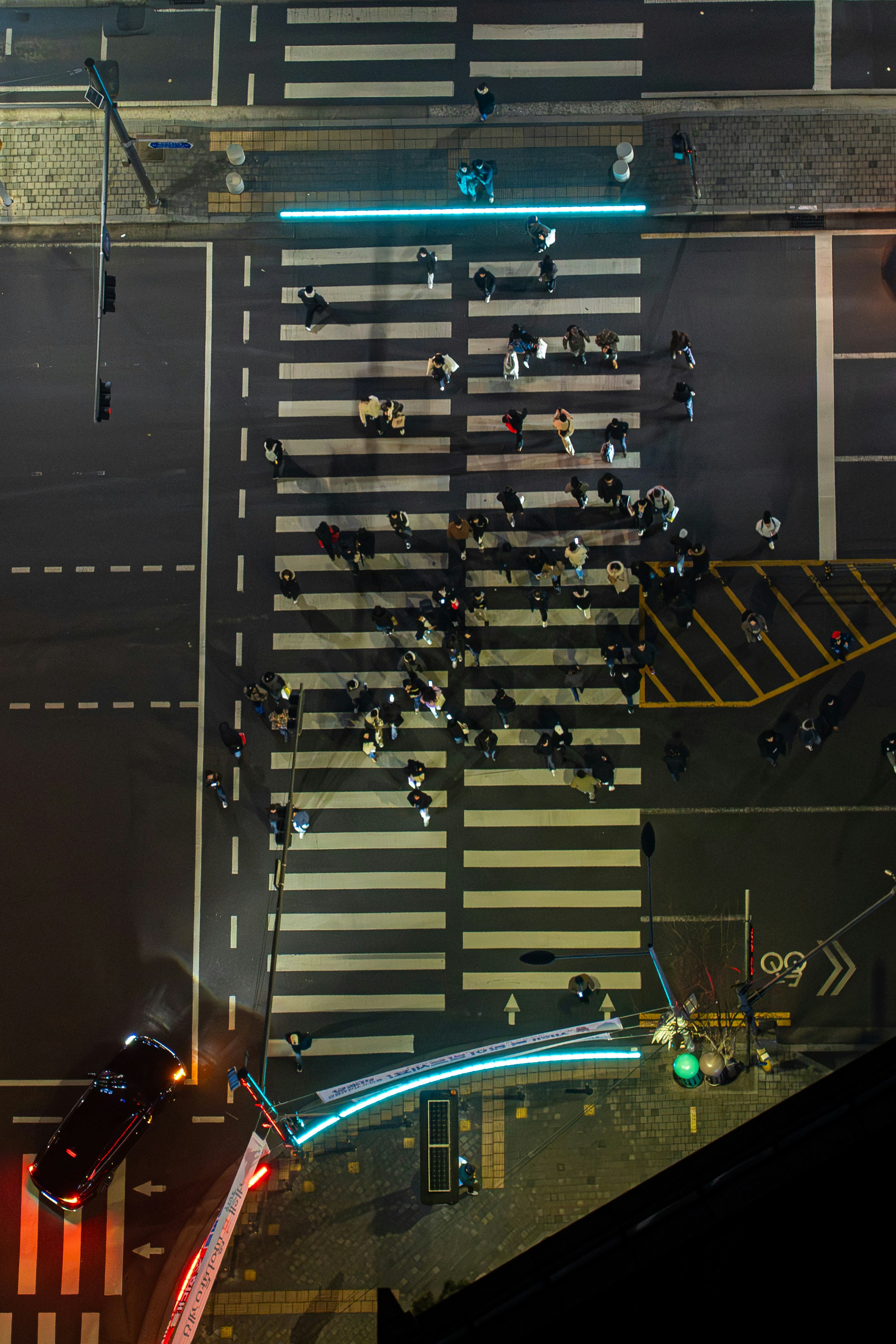 Umbrella of Pedestrians: A Neon Crossing from Above