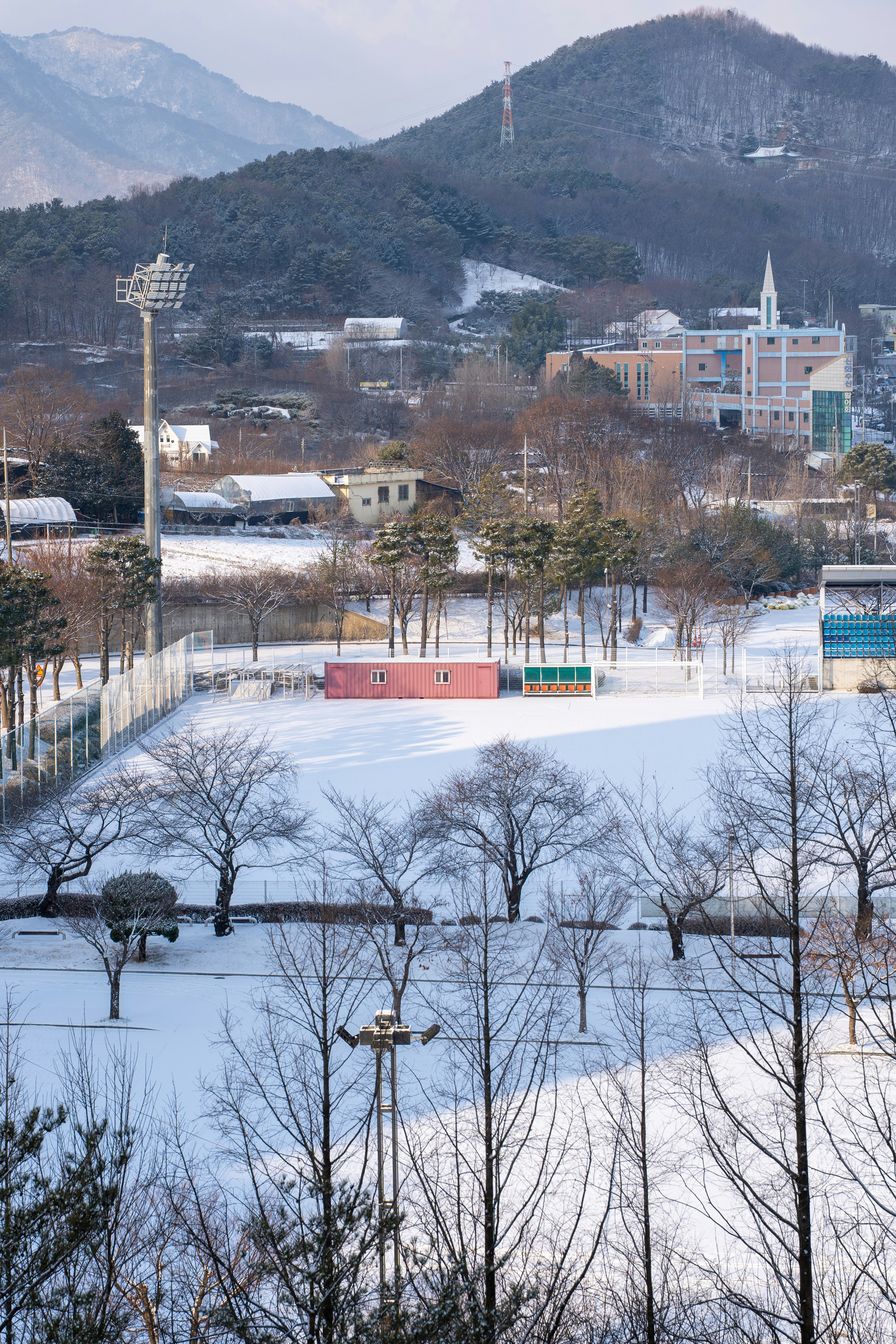 Snow-Covered Townscape beneath A Winter Sky