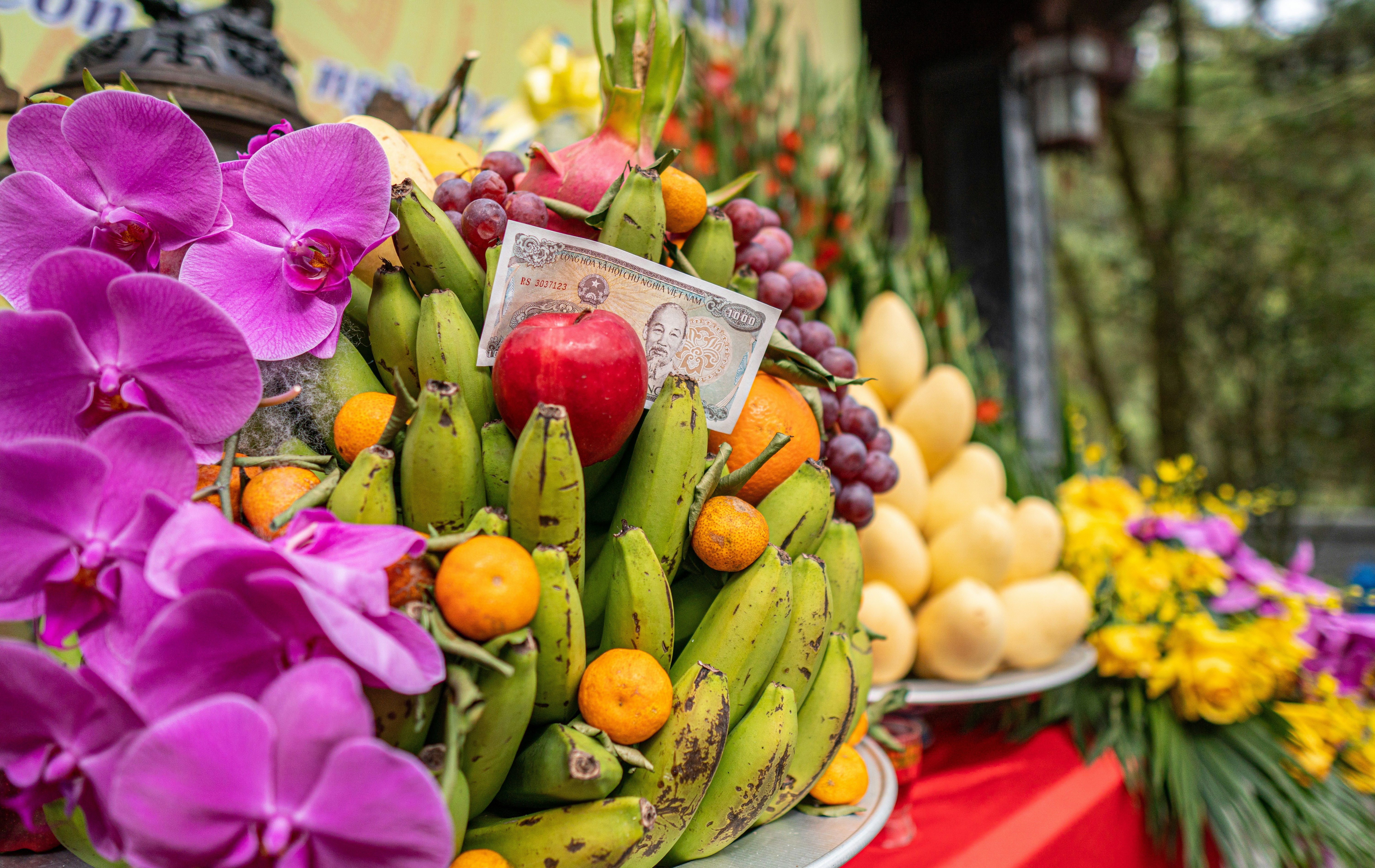 Fruit Garland Crowned with Orchid Blossoms and a Floating Banknote