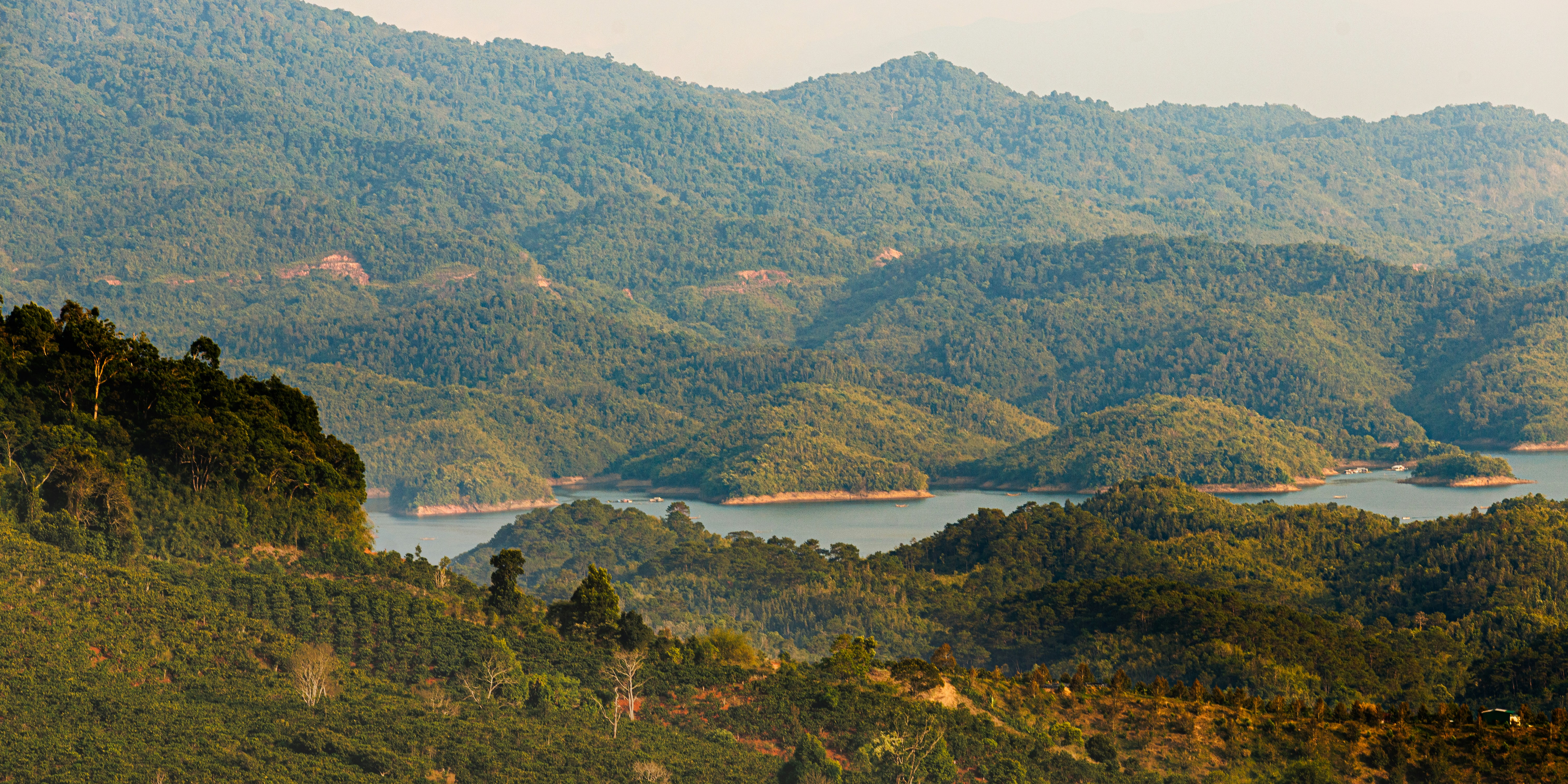 Amber Hills Overlake: Dusk Light on a Winding Valley