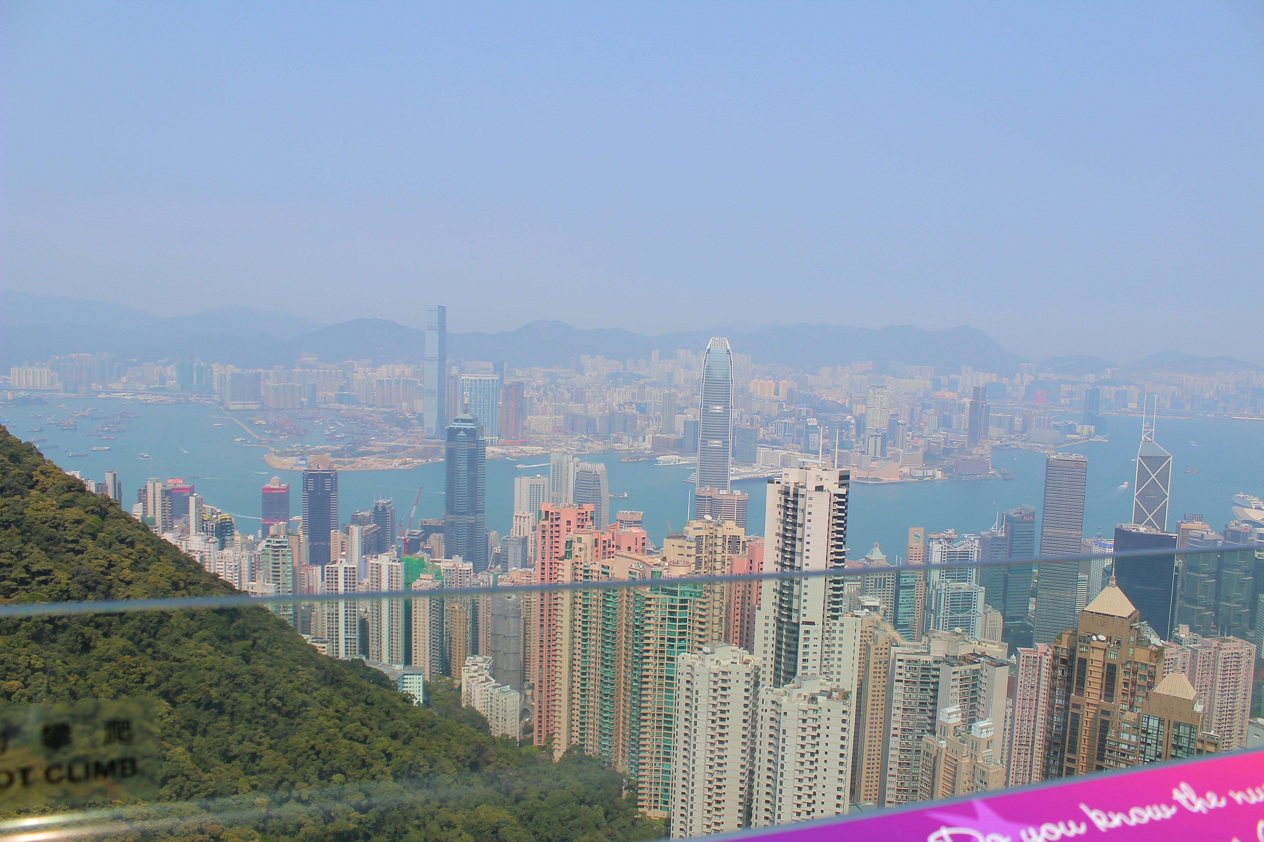 Urban Panorama Above the Harbor: Neon Towers and Sea Mist