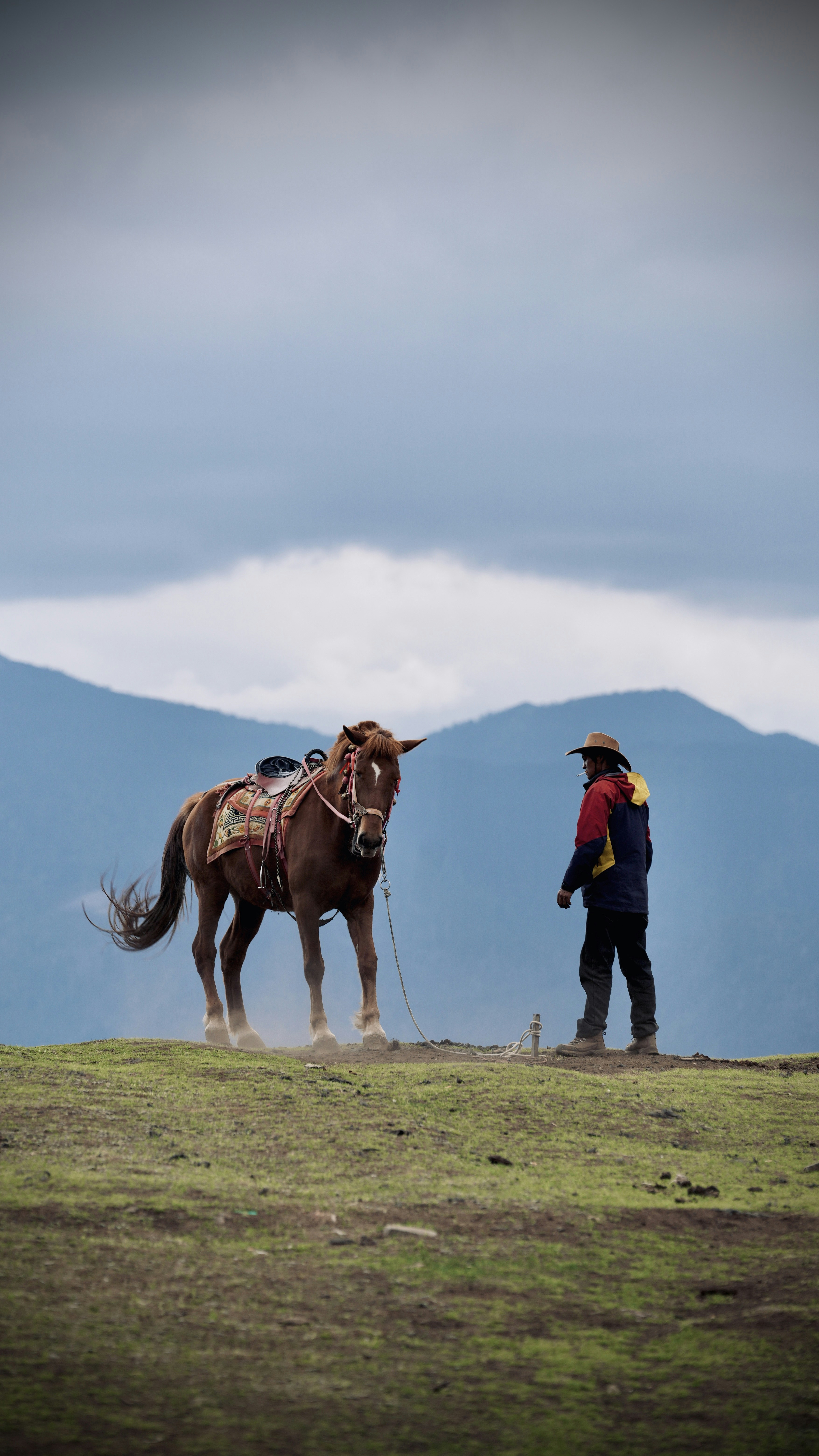 Herding the Horizon: A Lone Rider and Horse Stand Ground