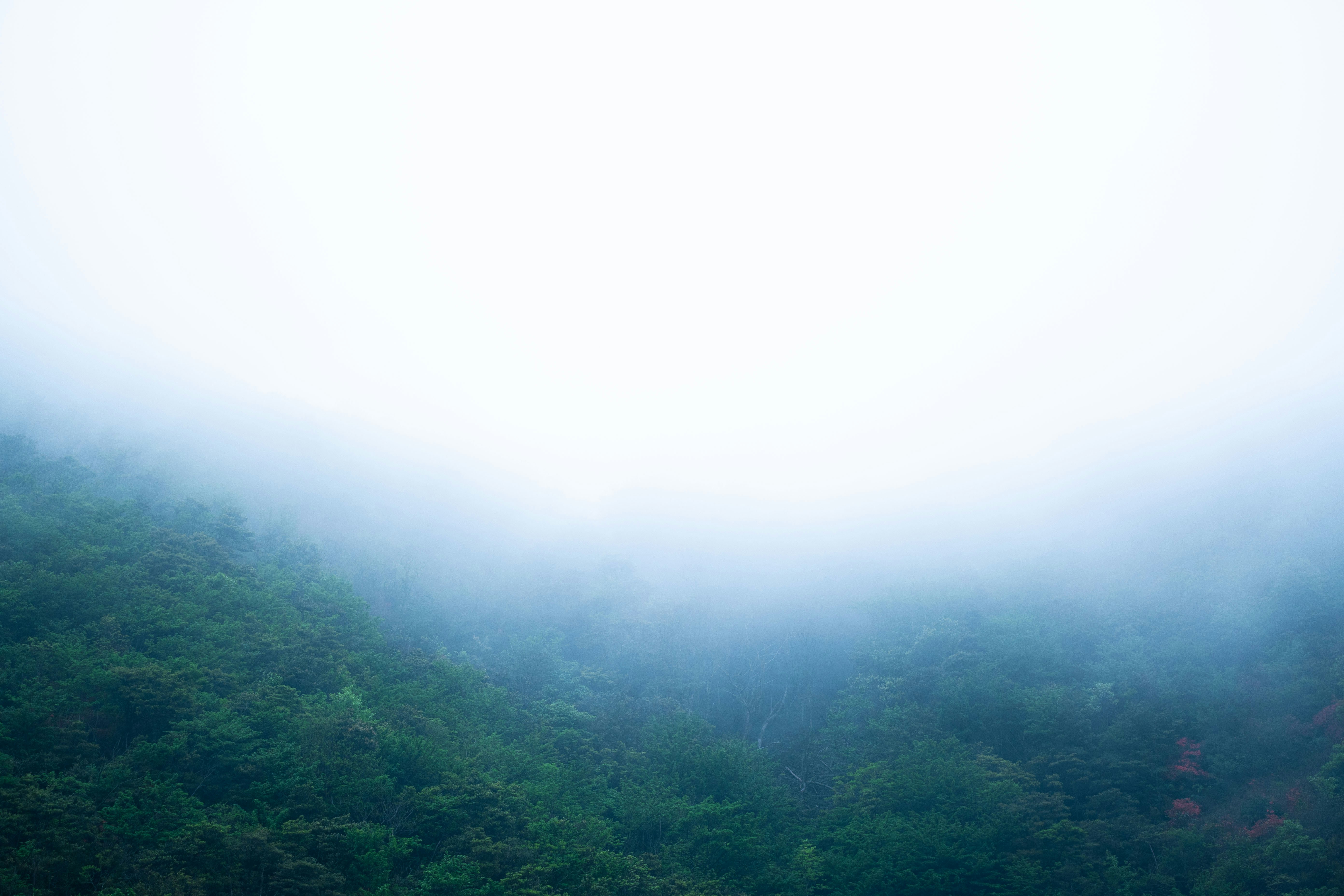 Mist-Lift Over Verdant Ridges